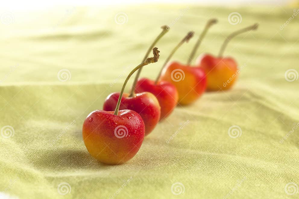 Row of red cherries stock photo. Image of juicy, beautiful - 49883754