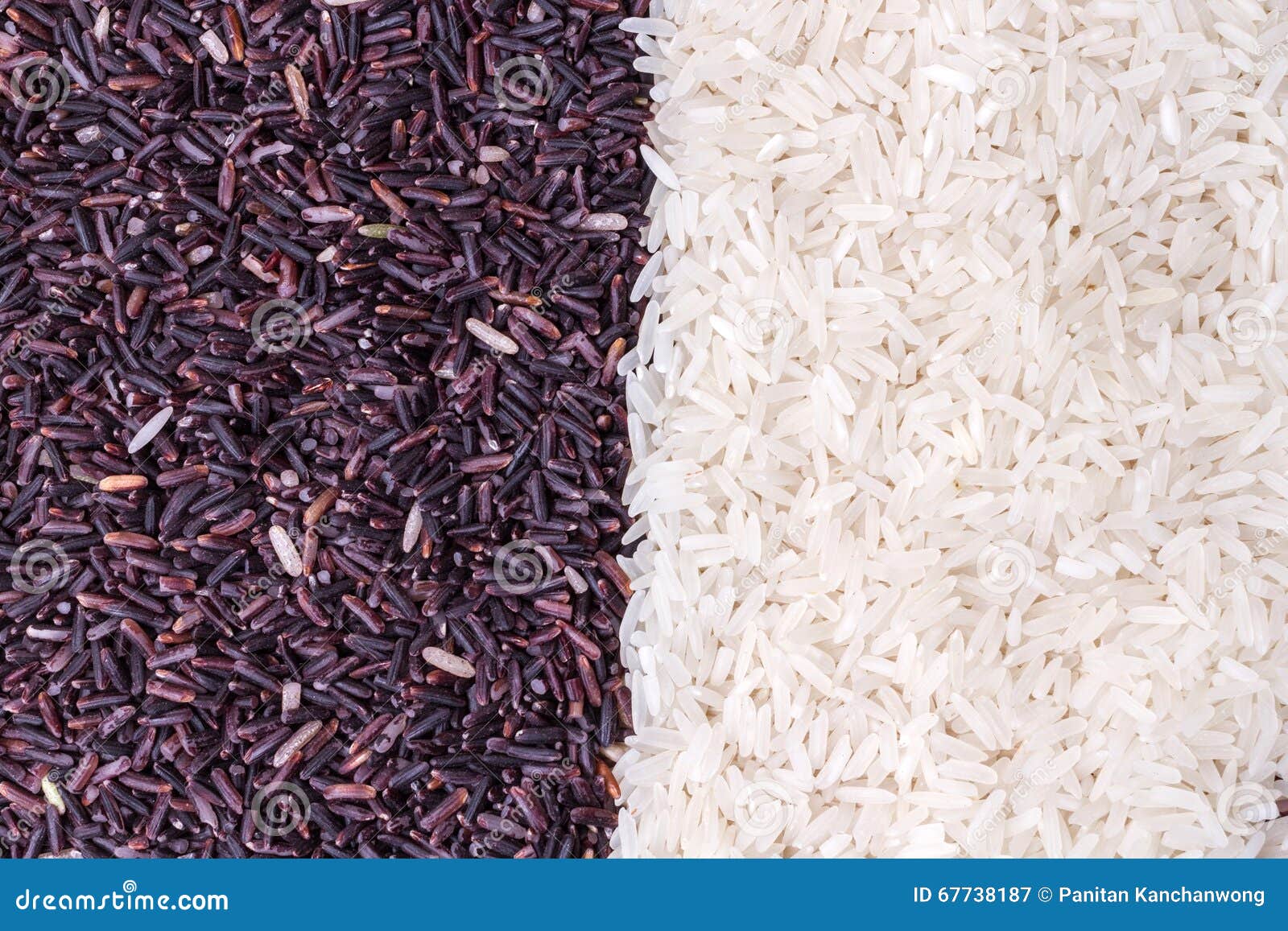 Row of Rice Berry and Jasmine Rice Grains Stock Image - Image of purple ...