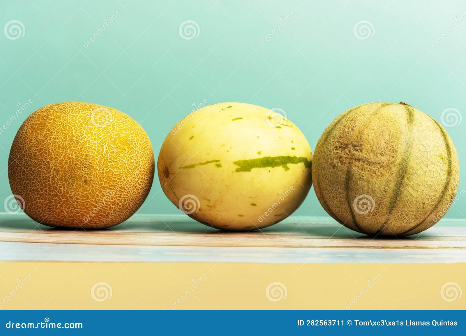 A Row of Ripe Melons of Different Varieties Stock Image - Image of ...