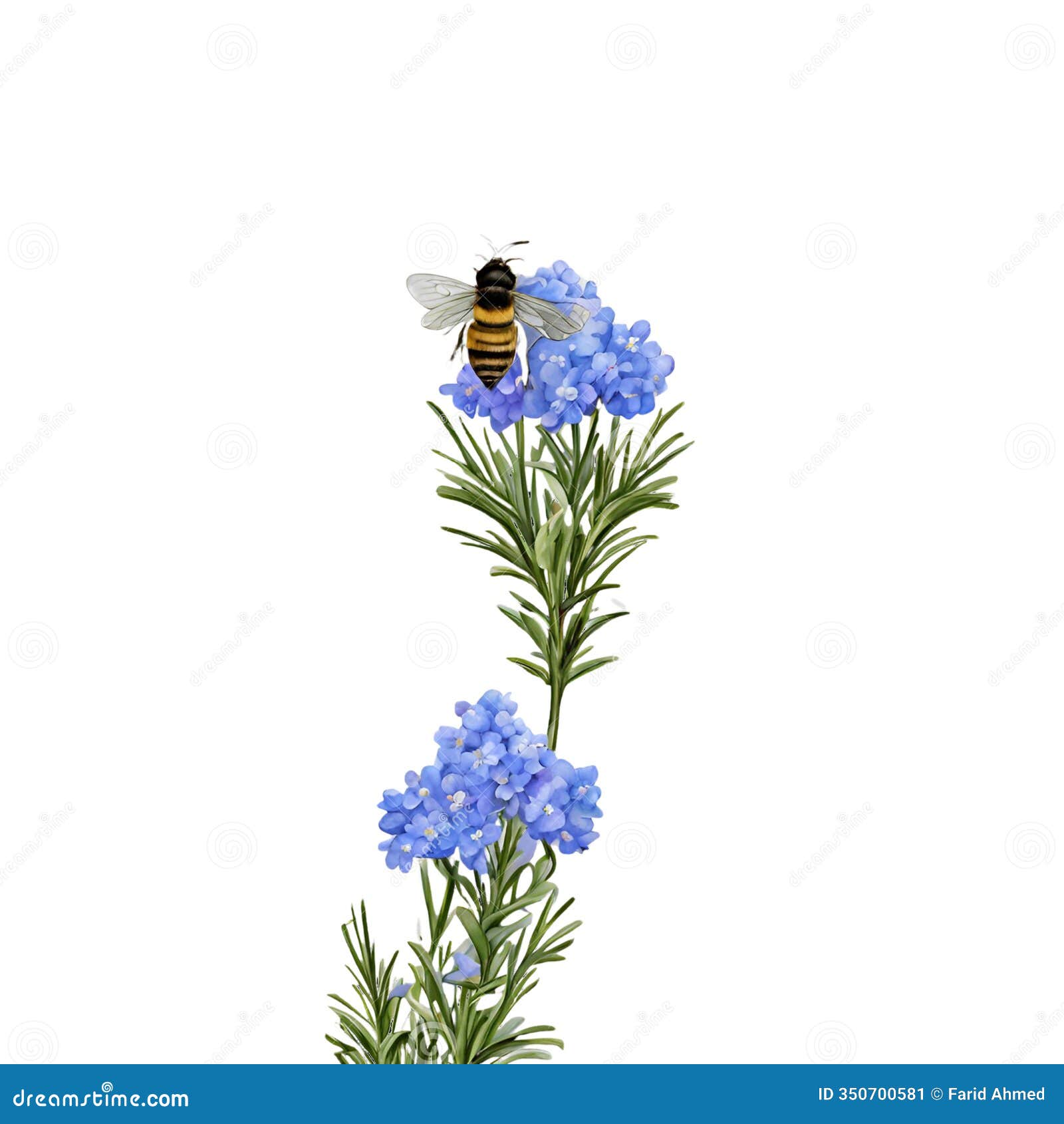 A Row of Rosemary Bushes with Bees Buzzing Around the Tiny Blue Flowers ...