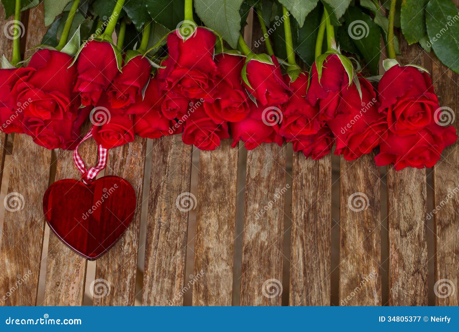Row of roses with heart stock image. Image of fresh, holiday - 34805377