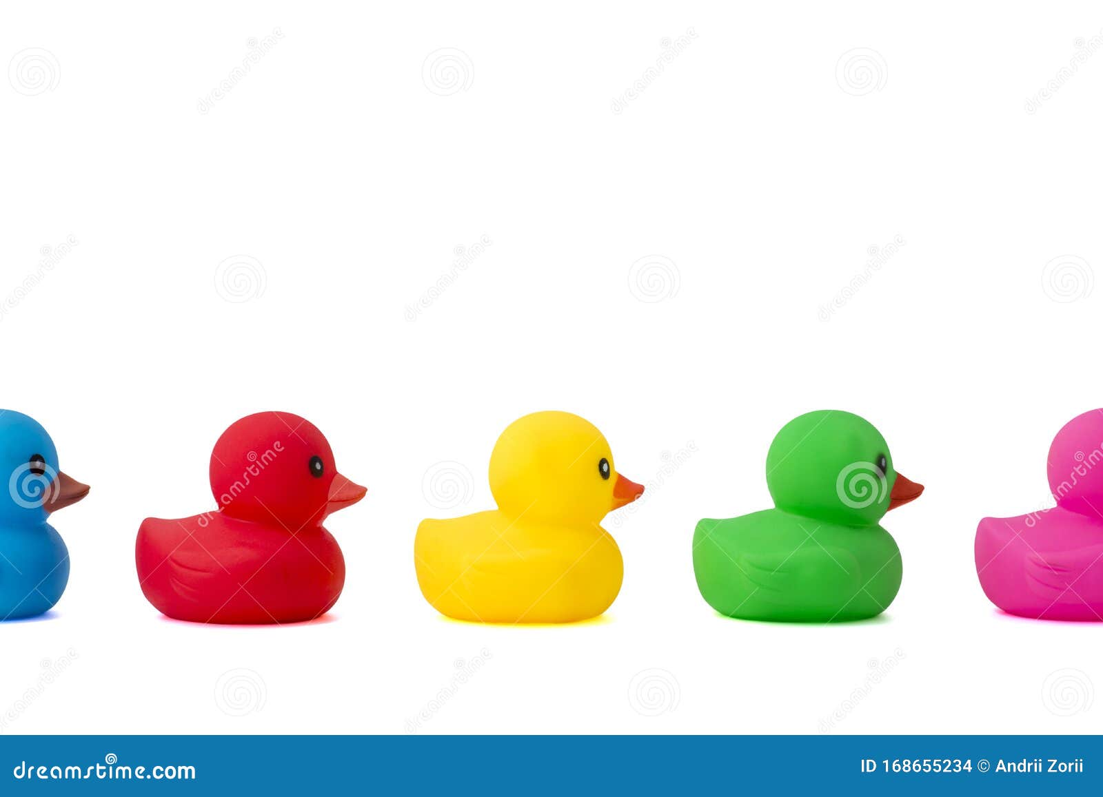A Row of Rubber Ducks on a White Background. Bright Colored Rubber ...