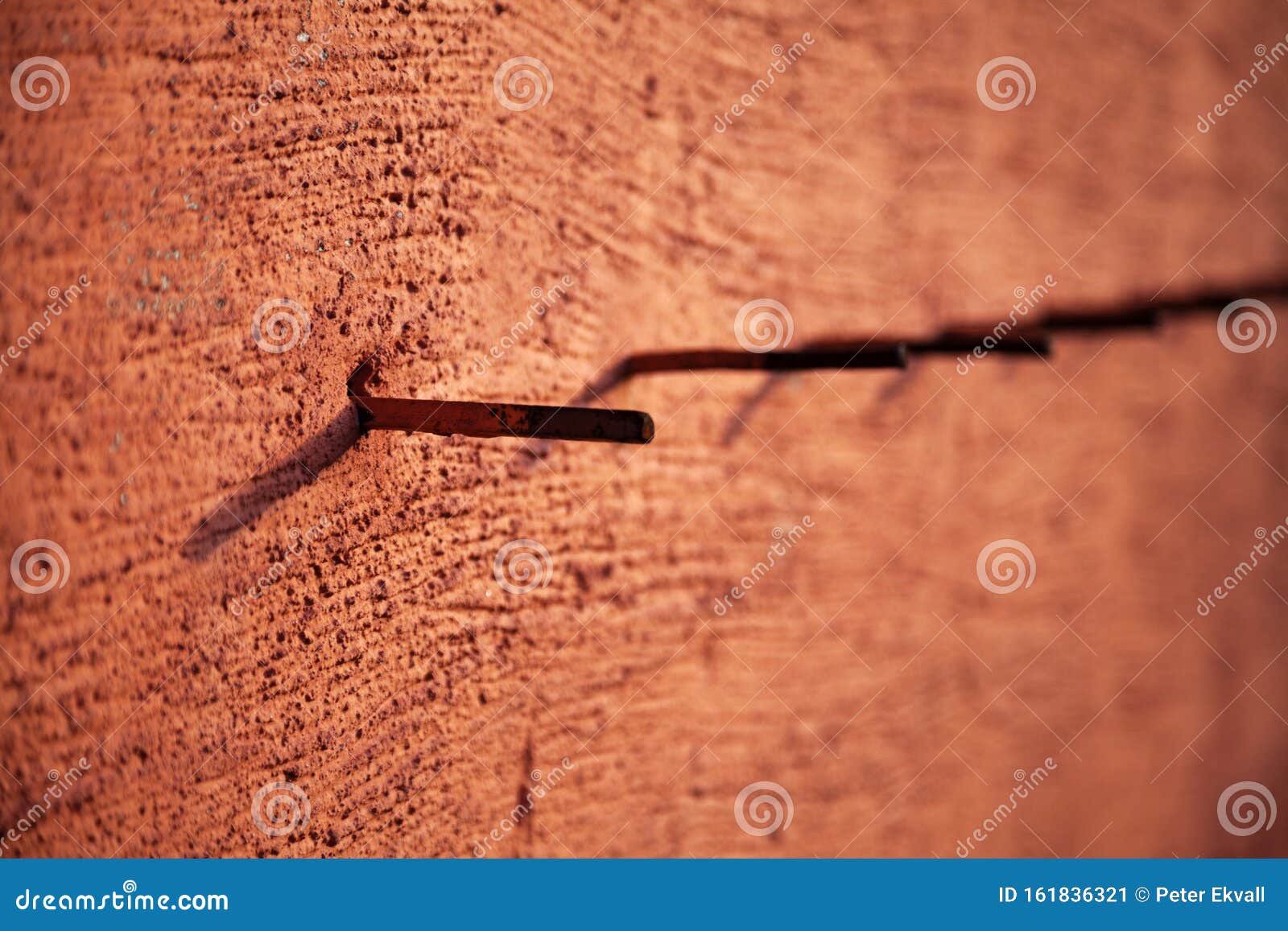 A Row of Rusty Sticks and Nails that are Stuck Stock Image - Image of ...