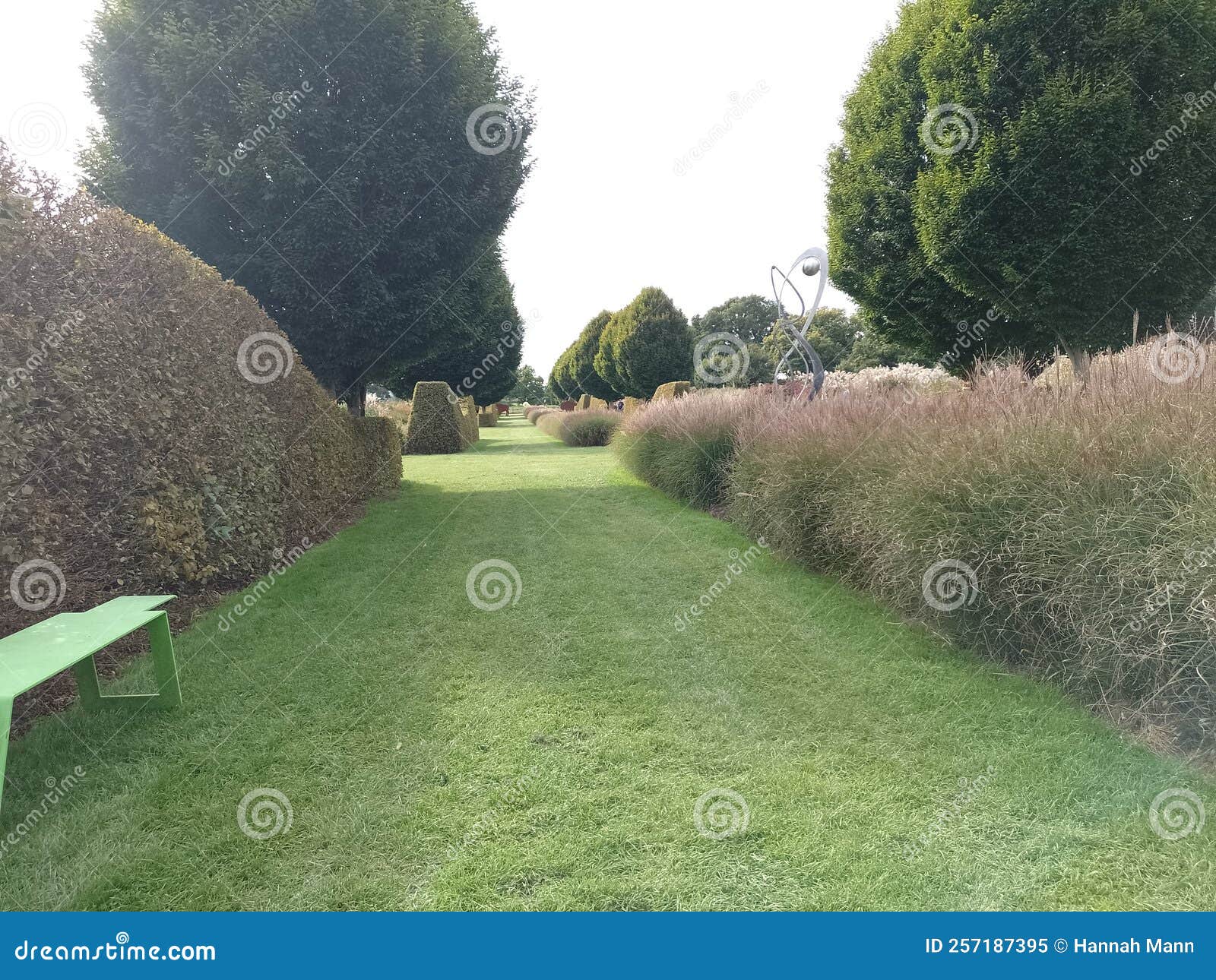 Row S of Plants Grass and Trees Stock Image - Image of grass, tree ...