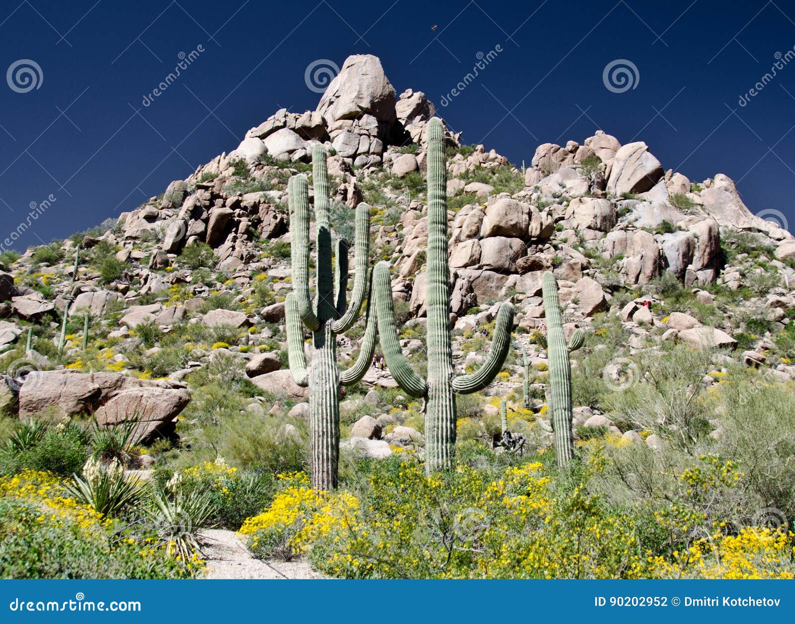 Troon Arizona Stock Photos - Free & Royalty-Free Stock Photos from ...