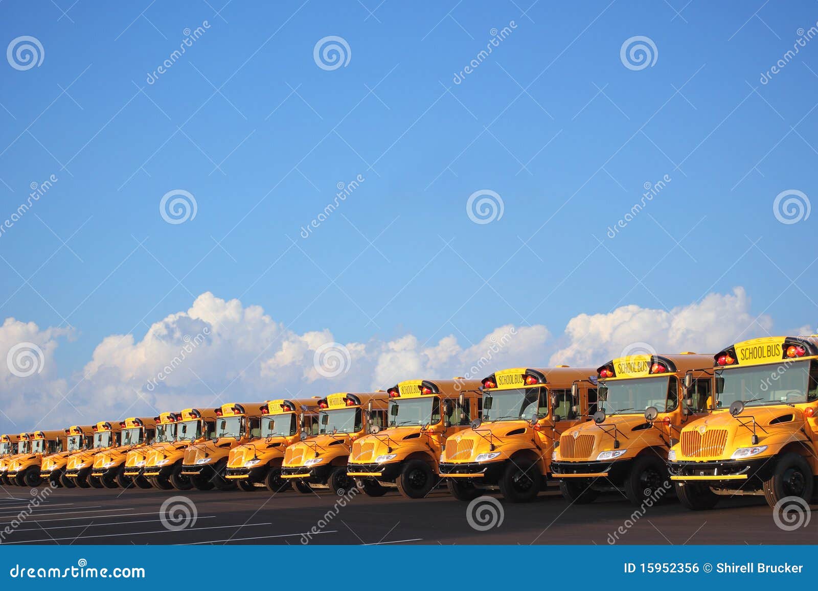 Row of School Buses stock photo. Image of background - 15952356
