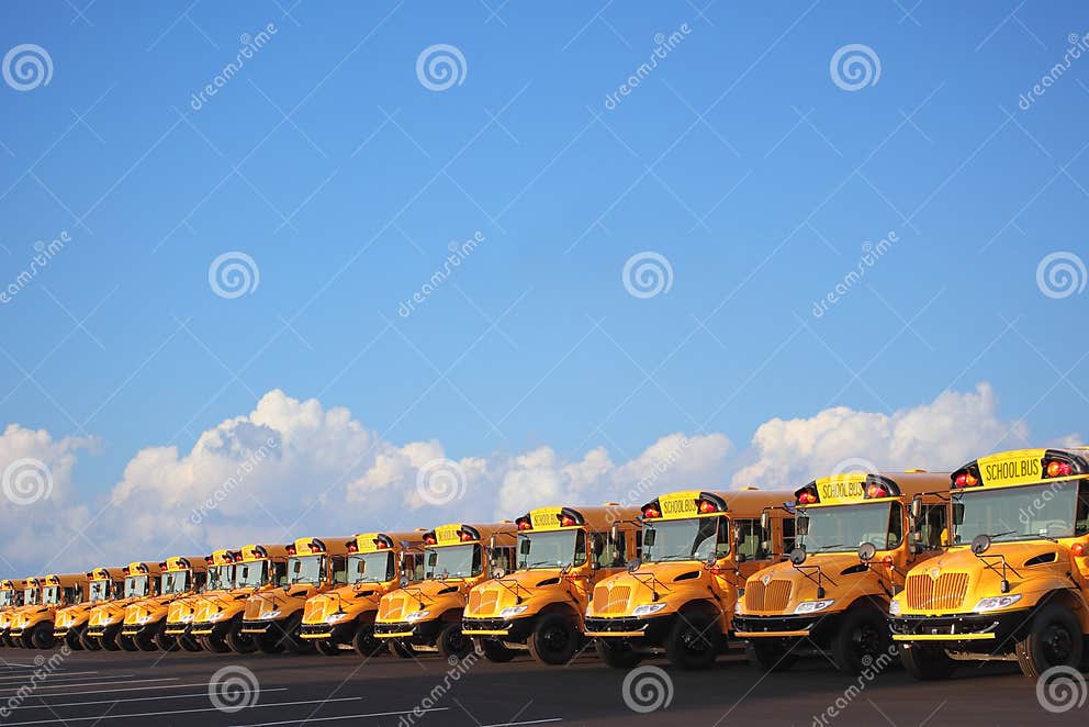 Row of School Buses stock photo. Image of background - 15952356
