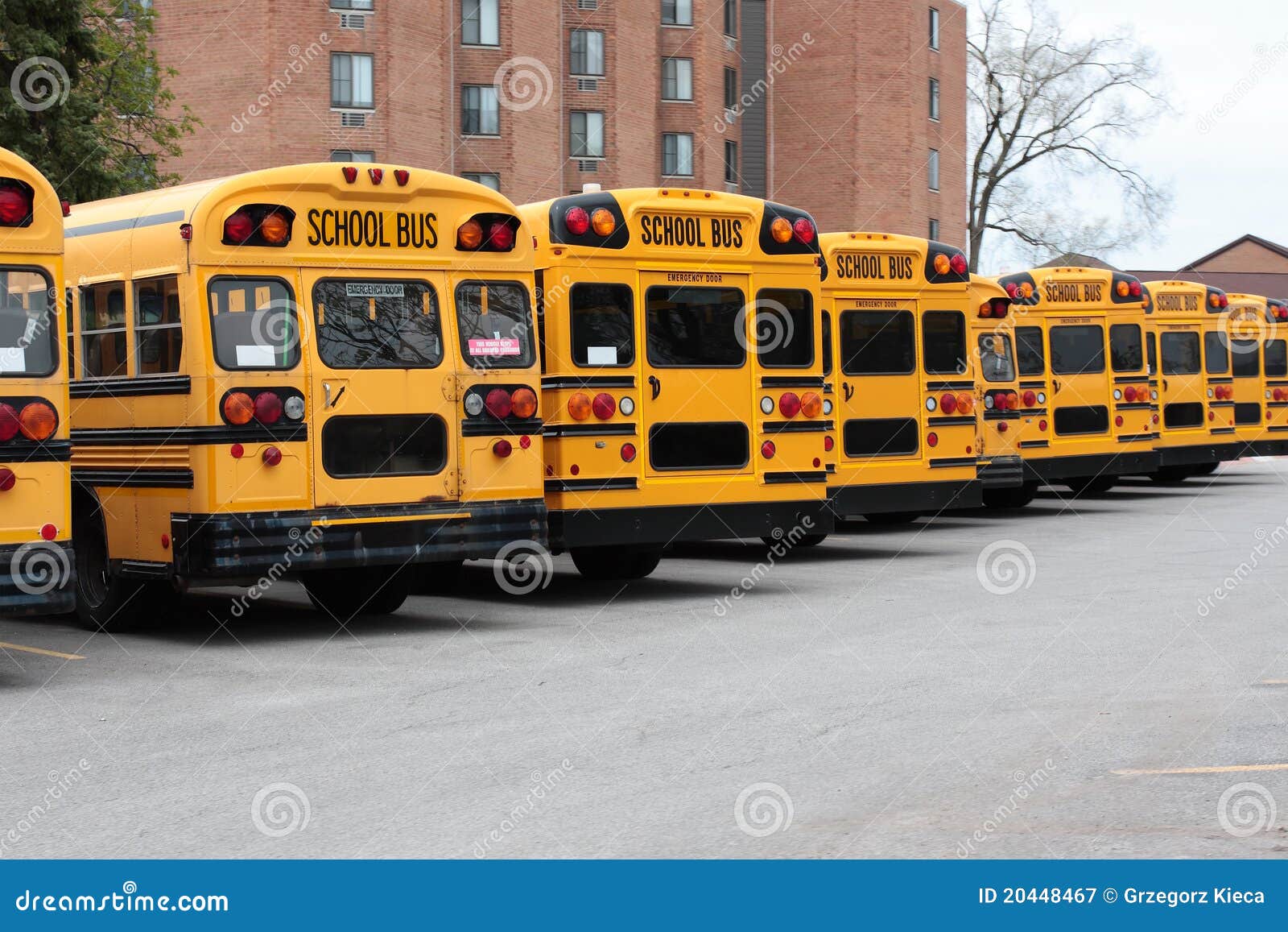 Row of school buses stock image. Image of parking, built - 20448467