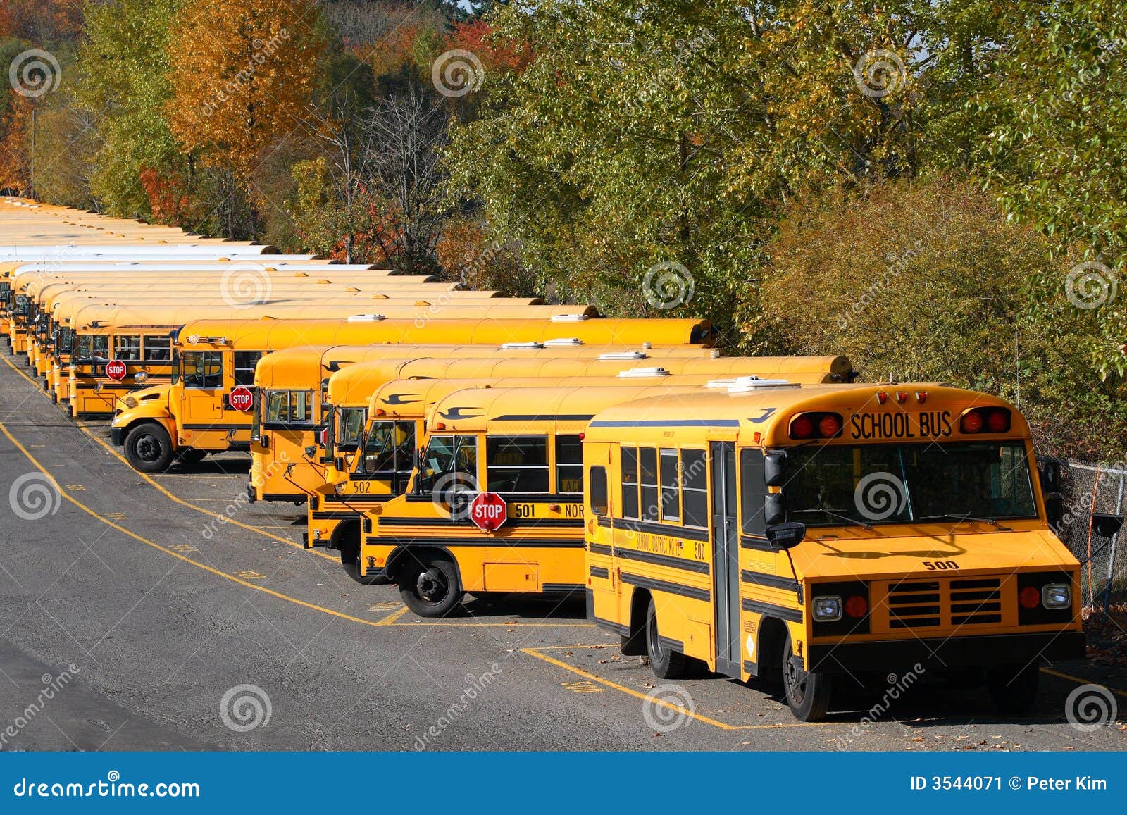 Row of school buses stock image. Image of child, district - 3544071