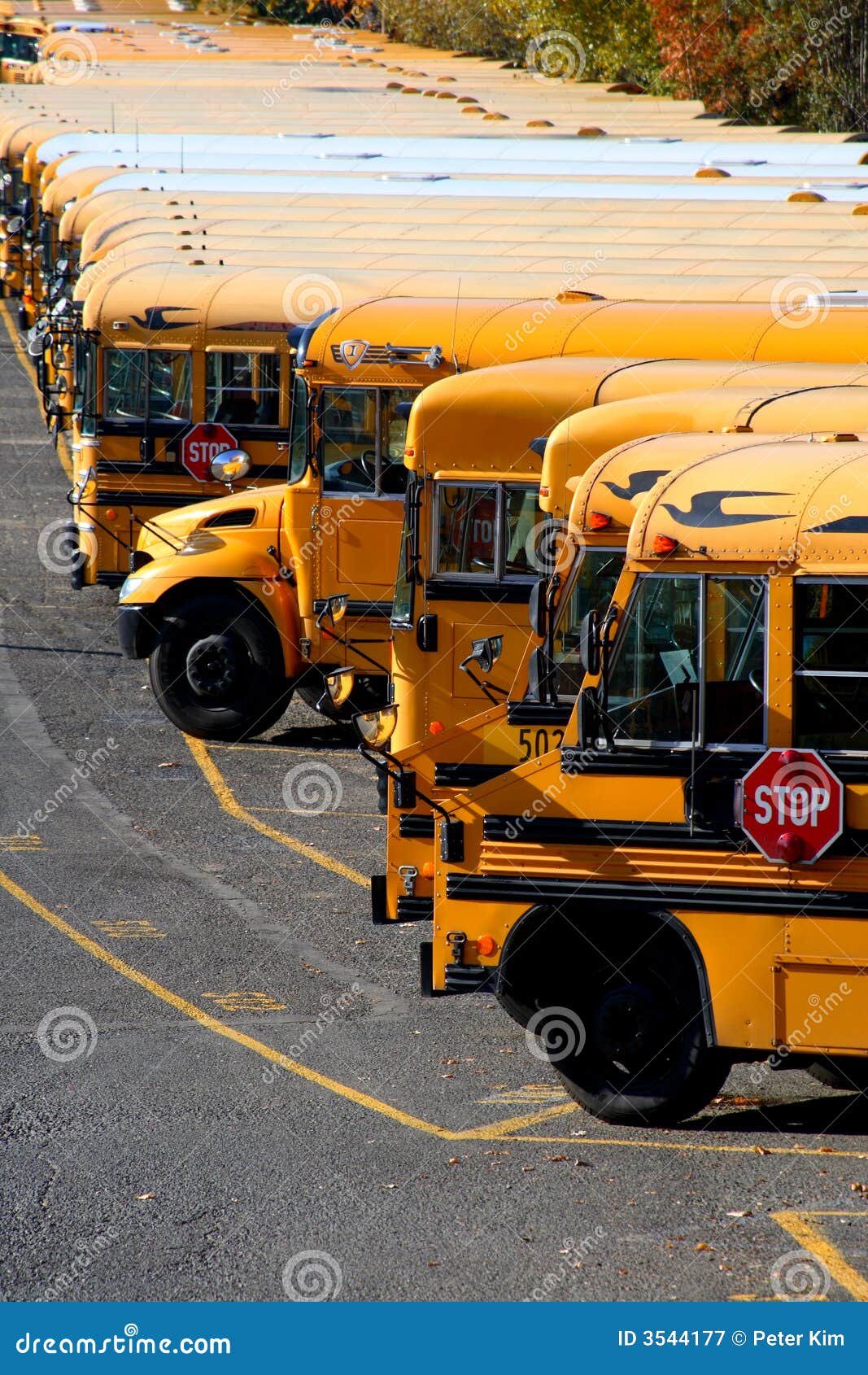 Row of school buses stock image. Image of school, institution - 3544177