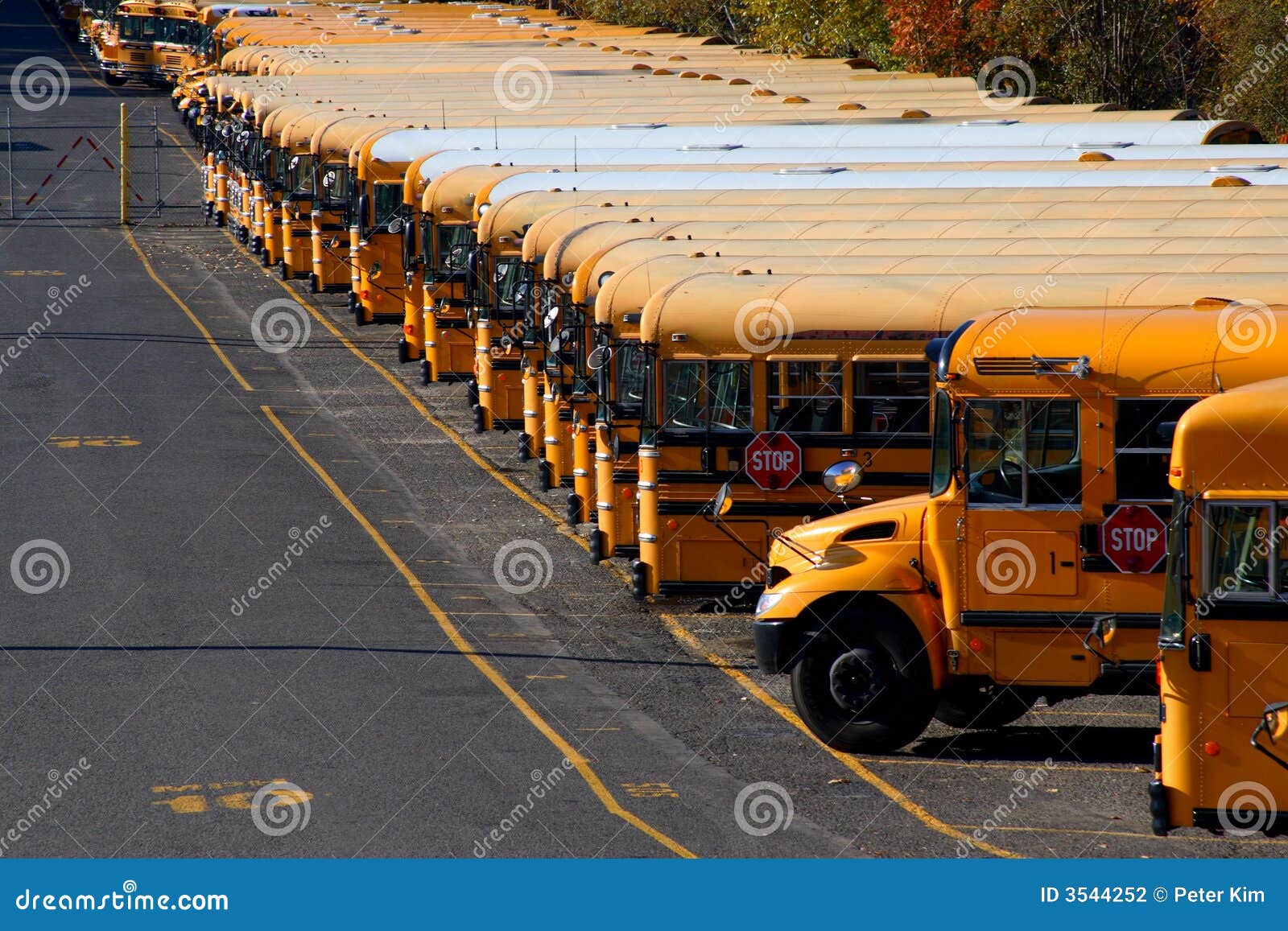 Row of school buses stock photo. Image of transportation - 3544252