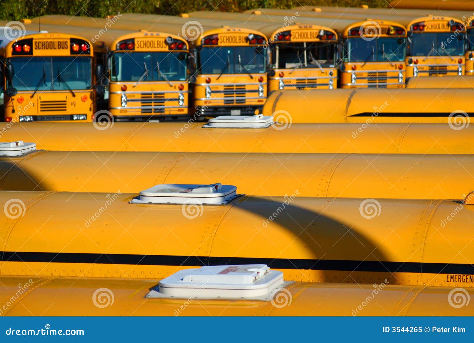 Row of school buses stock image. Image of institution - 3544265