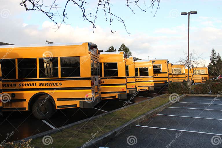 Row of school buses stock image. Image of public, commute - 37986257
