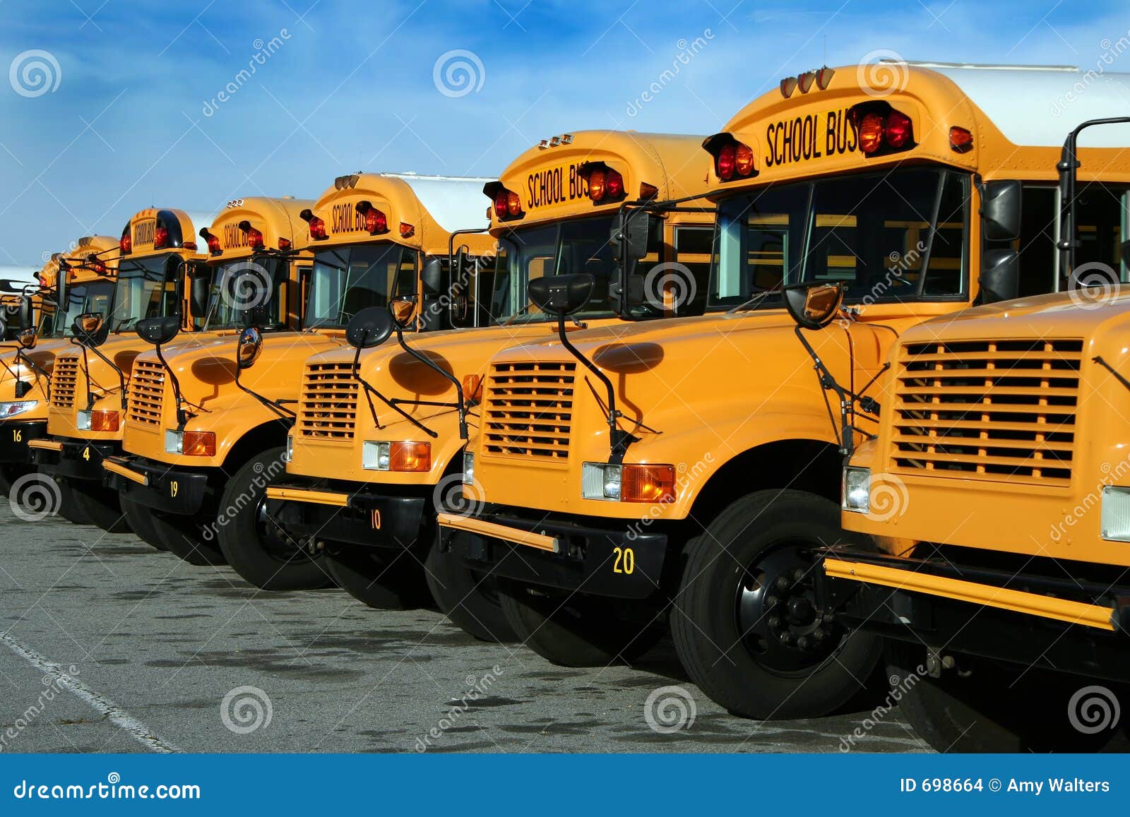 Row of school buses stock photo. Image of middle, dispatch - 698664