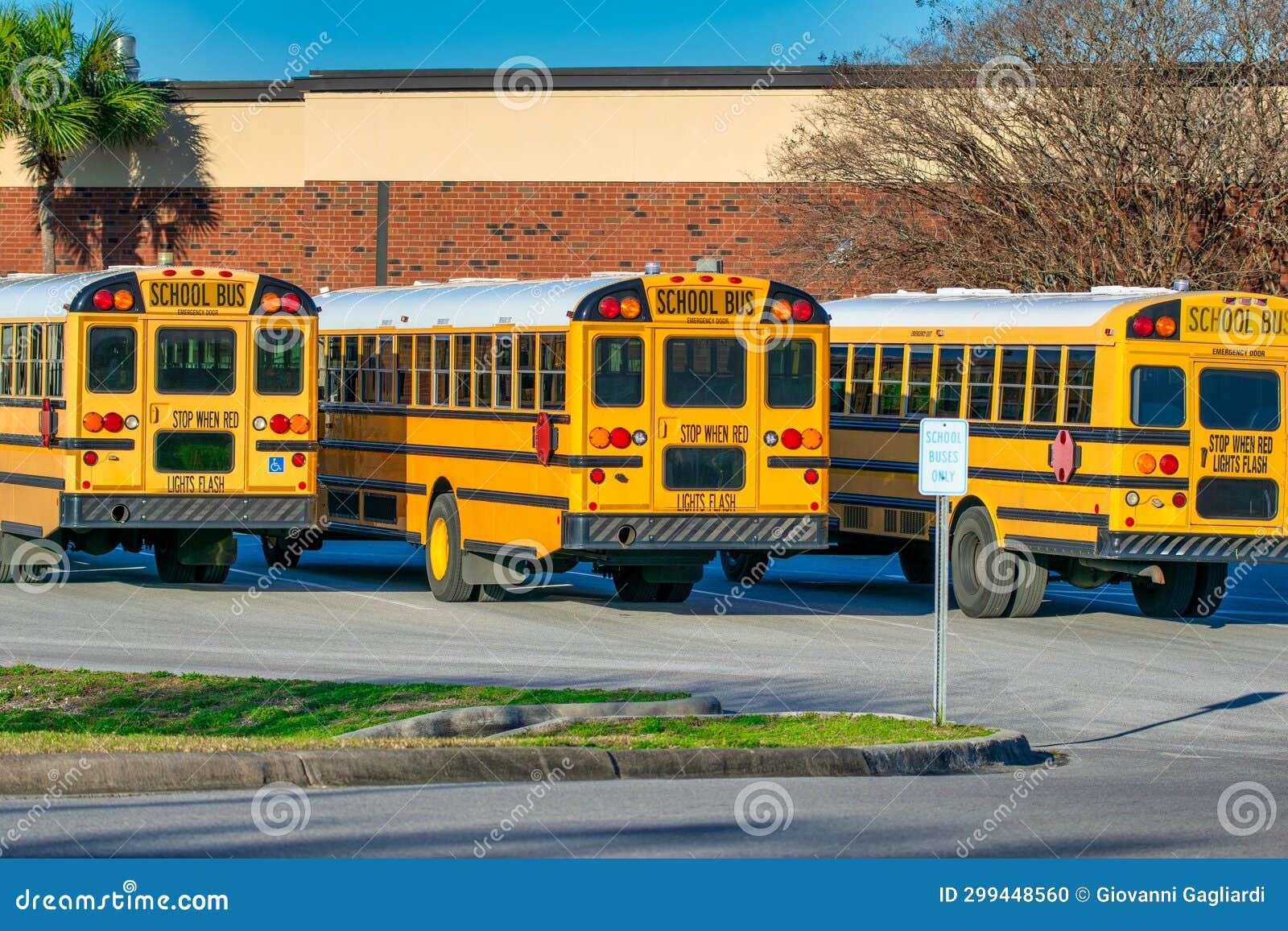 Row of School Buses in Florida Stock Photo - Image of public, pick ...
