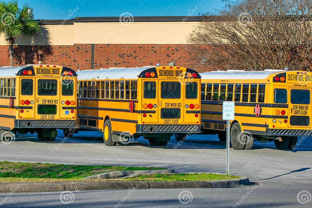 Row of School Buses in Florida Stock Photo - Image of public, pick ...