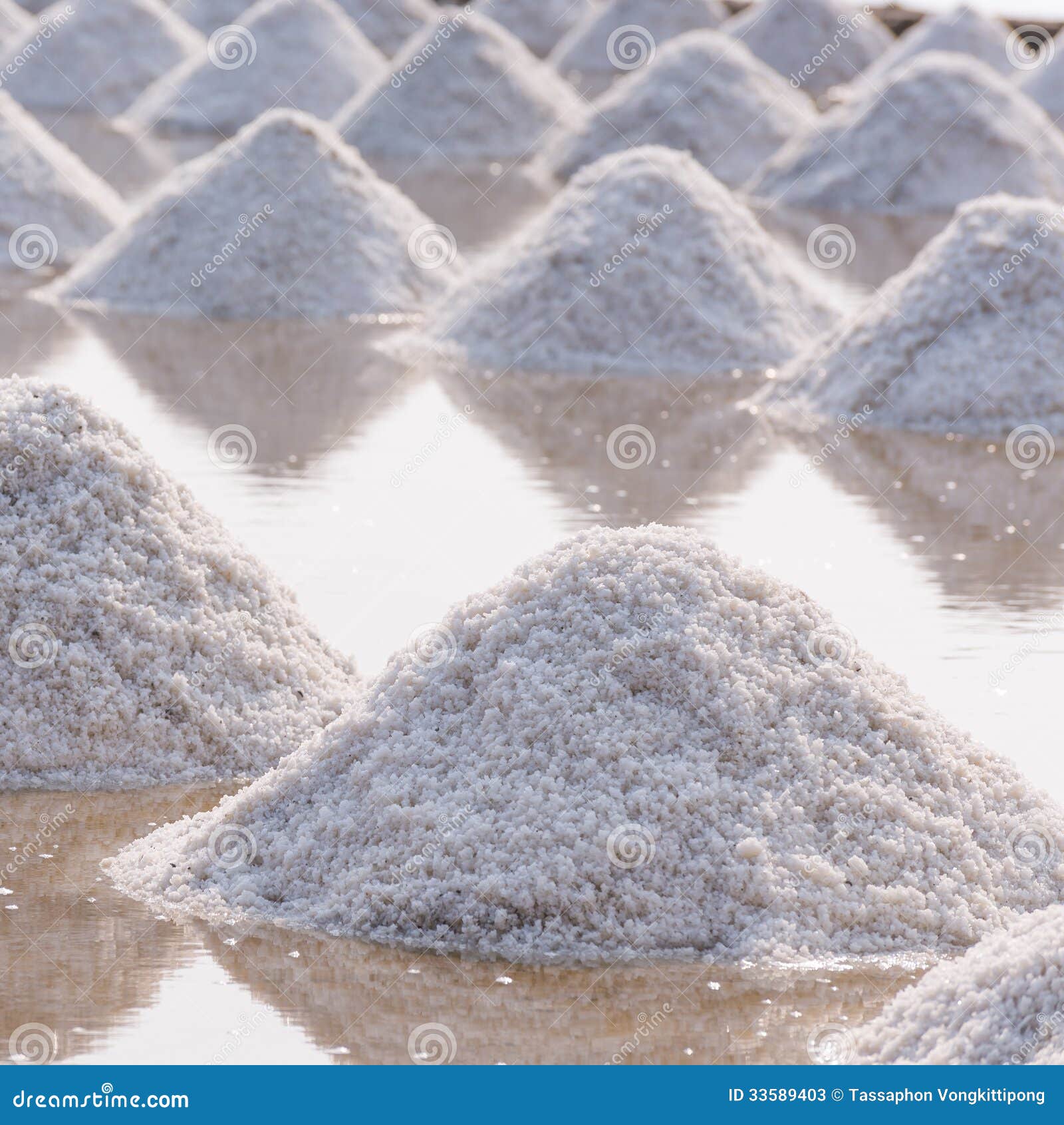 Row of sea salt stock image. Image of pile, salt, salted - 33589403