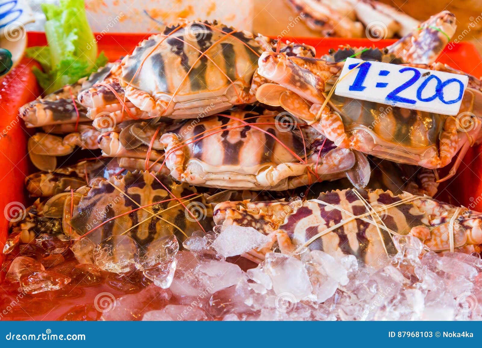 Row of Seafood in the Asian Market Stock Image - Image of gourmet ...
