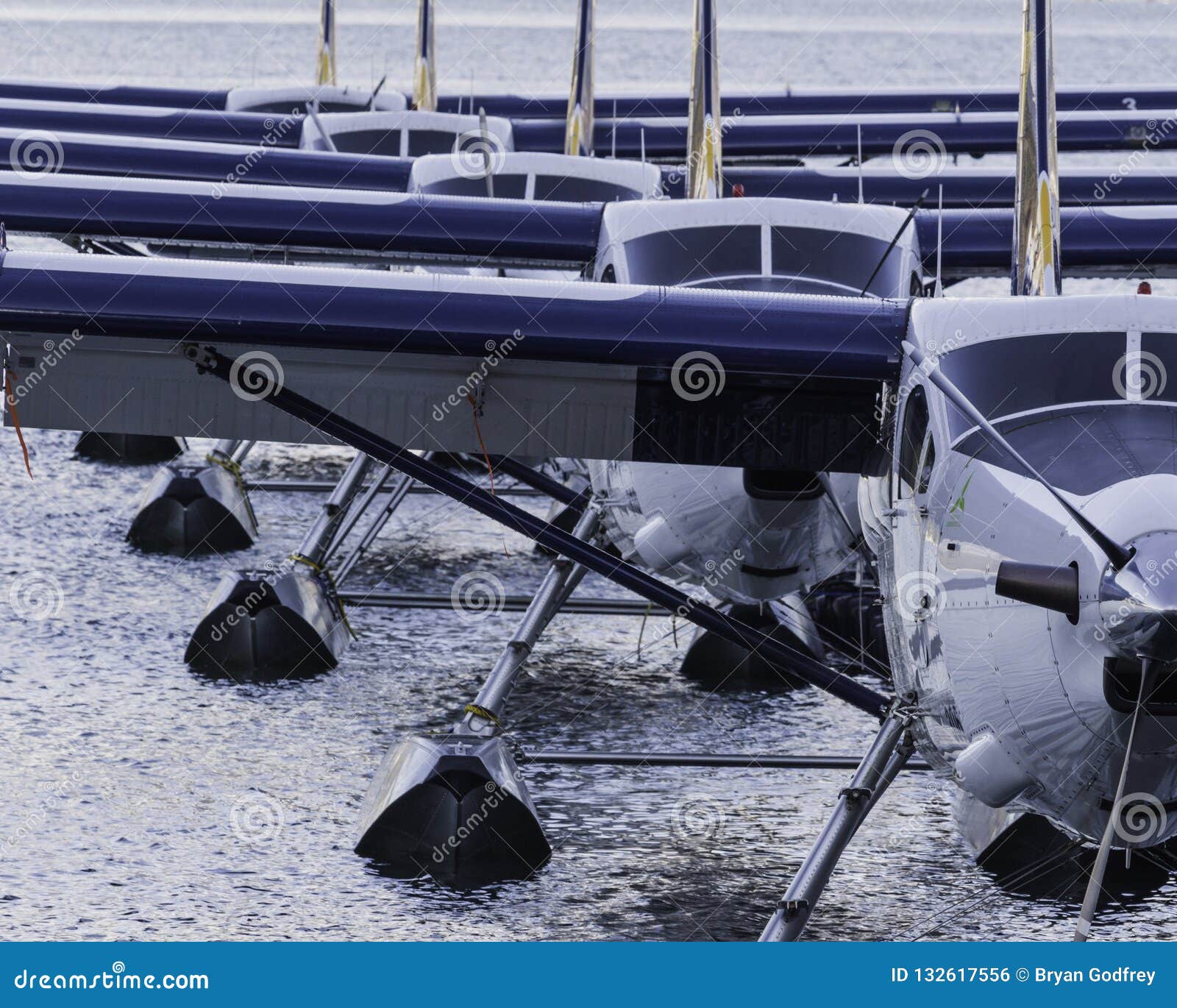A row of seaplanes docked stock photo. Image of floatplane - 132617556