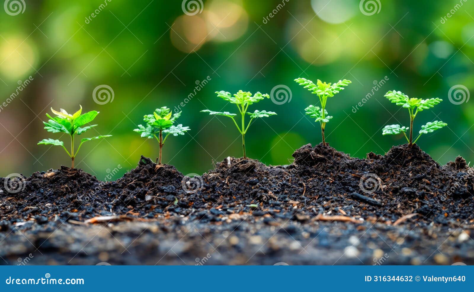 Row of Small Plants Growing in the Soil. Generative AI Stock Photo ...