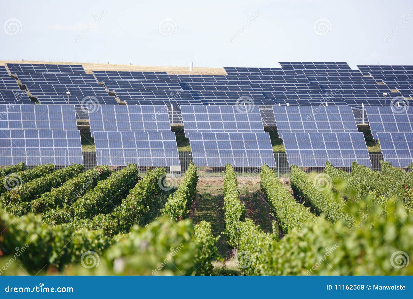 Row of solar panels stock photo. Image of fuel, electricity - 11162568