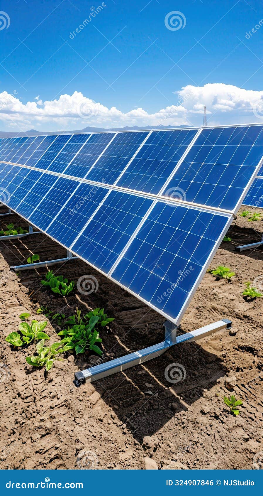 A Row of Solar Panels are in a Field Stock Illustration - Illustration ...