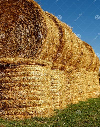 A Row of Stacked Round Bales Stock Photo - Image of bale, manitoba: 1390132