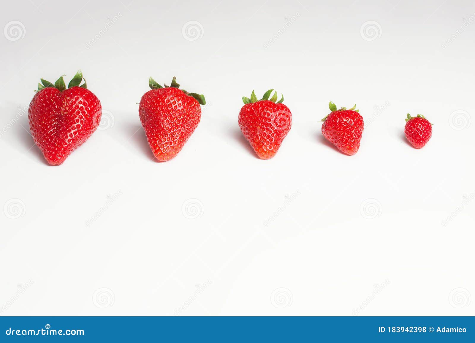 Row of Strawberries from Smallest To Largest on a White Background ...