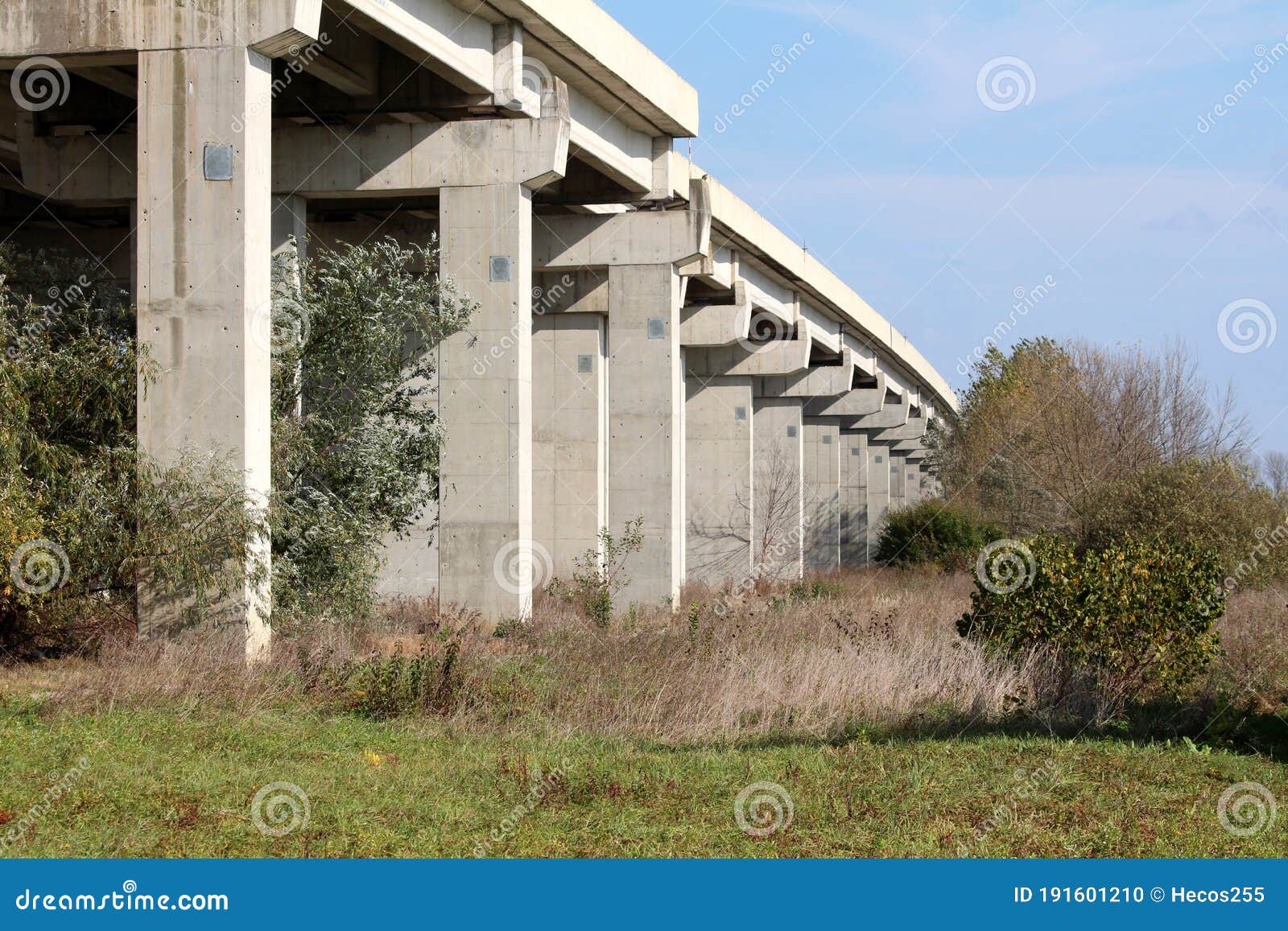 Row of Strong Large Concrete Road Bridge Support Columns Surrounded ...