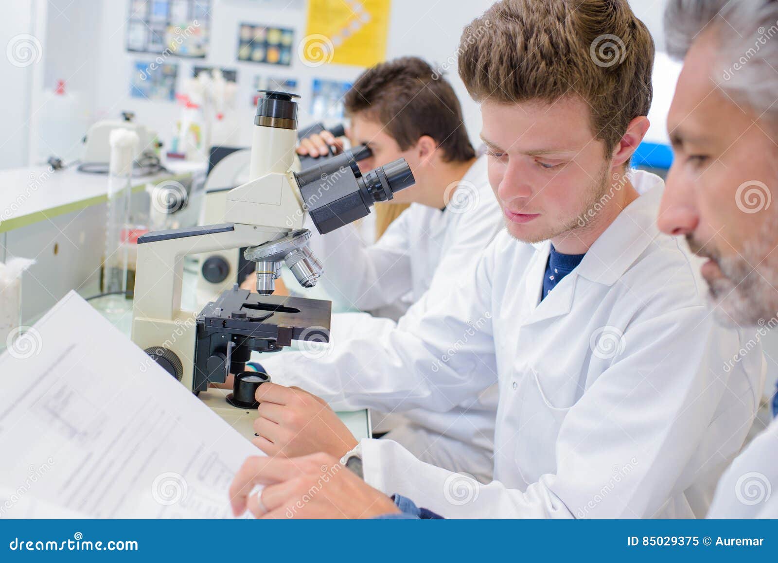 Row Students in Science Lesson Stock Image - Image of coat, biology ...