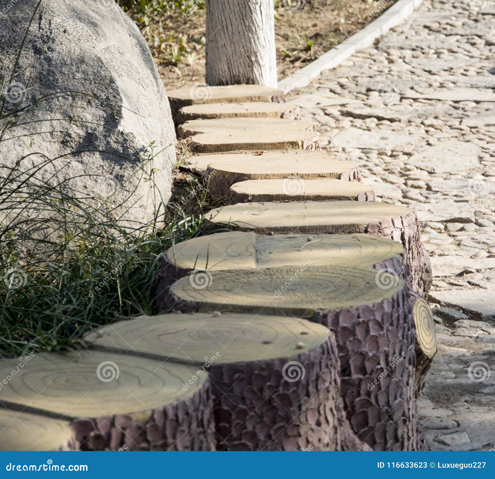 A row of stumps stock image. Image of material, stump - 116633623