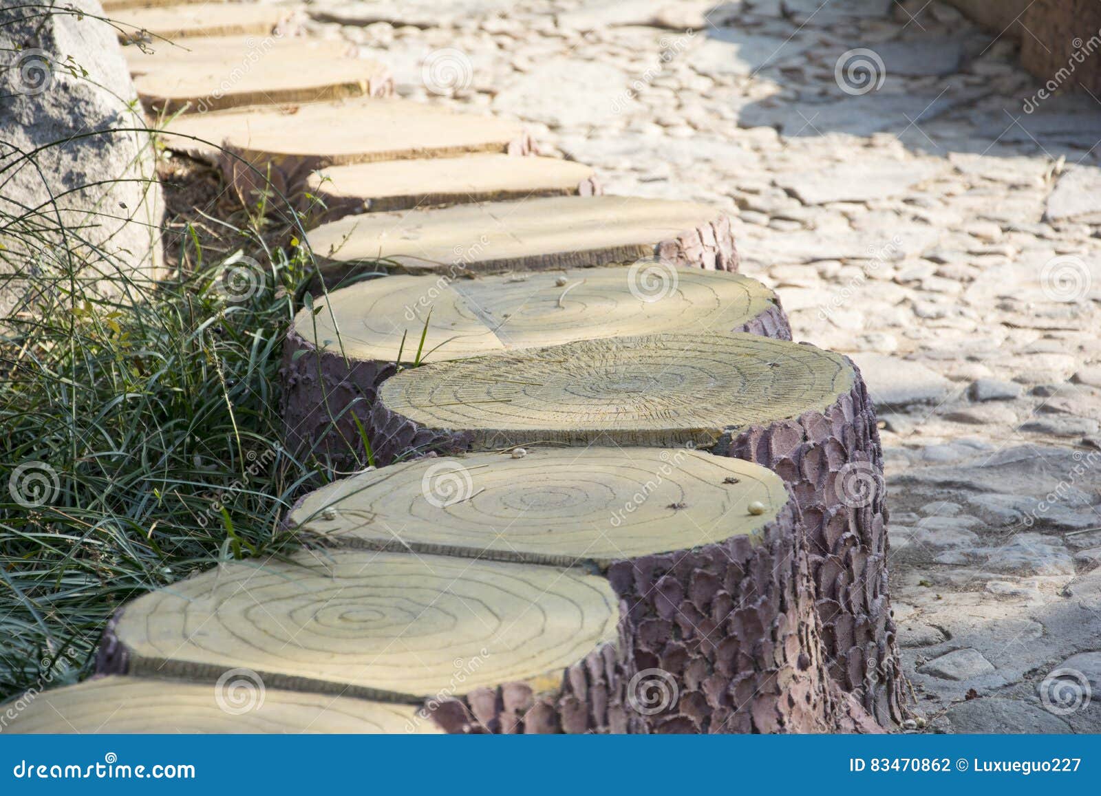 A row of stumps stock photo. Image of local, stumps, outdoor - 83470862