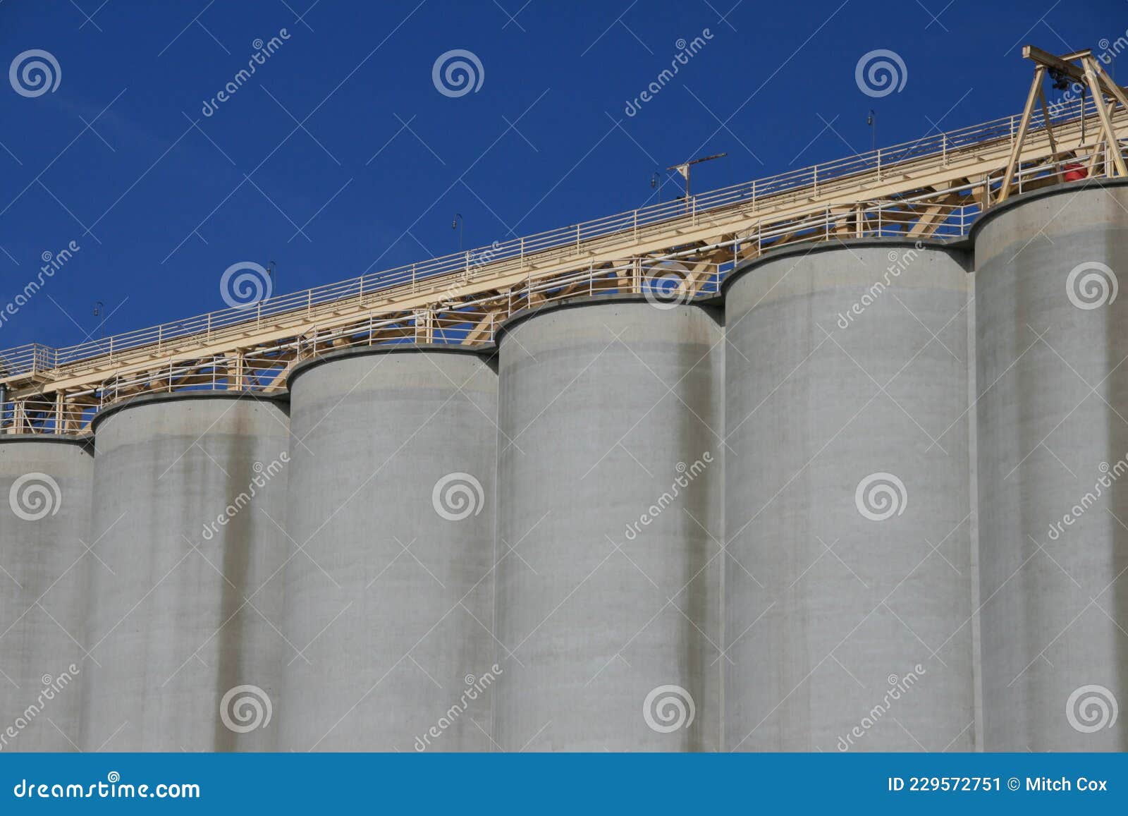 Silos stock image. Image of silos, tall, grain, building - 229572751