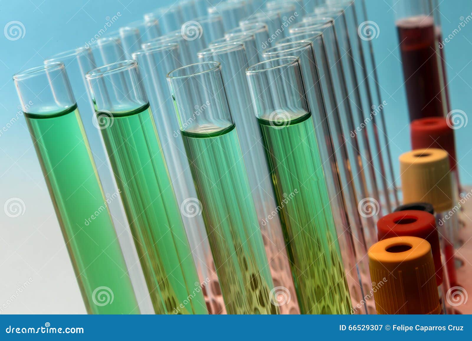 Row of Test Tubes in Green Tone Stock Image - Image of equipment ...