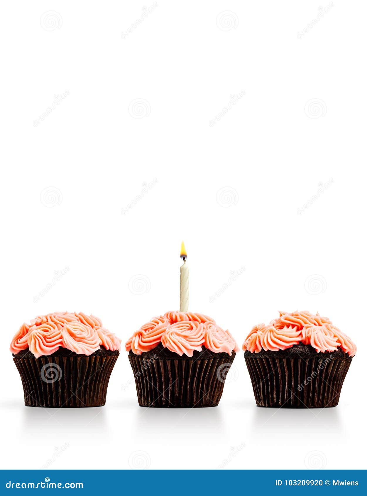 Row of Three Cupcakes with One Lit Candle on White Stock Photo - Image ...