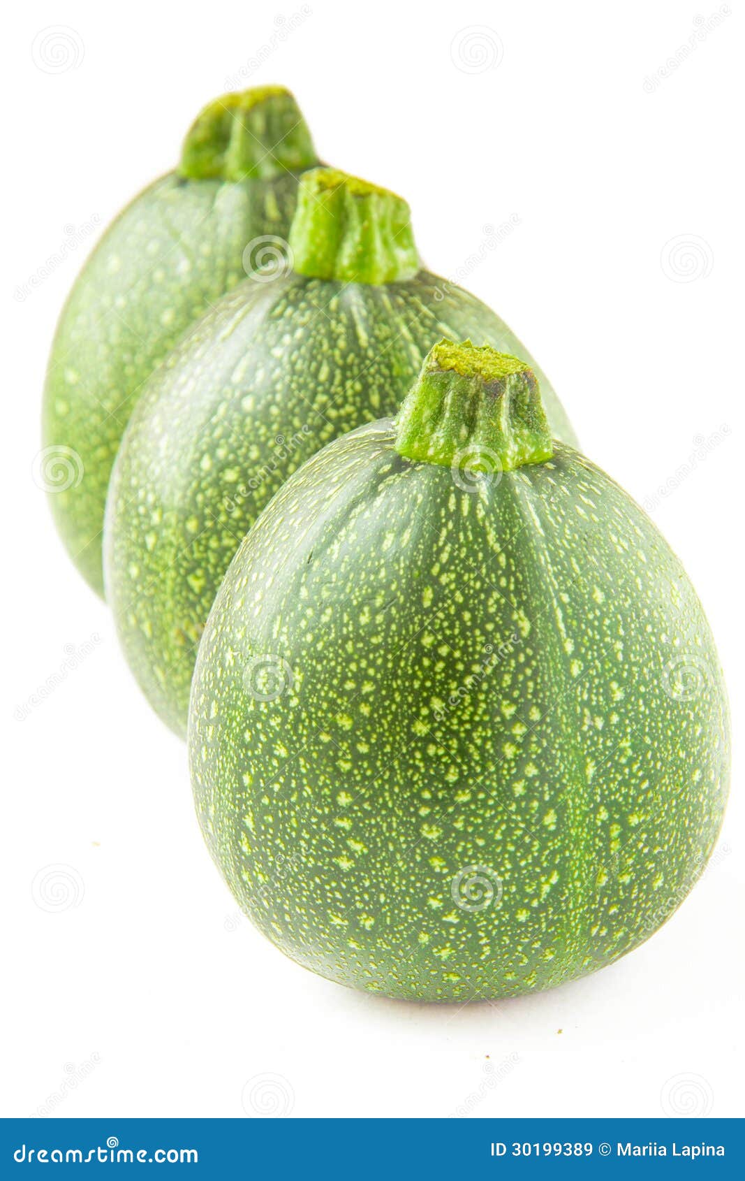 Isolated Round Courgette on White Stock Image - Image of healthy, white ...