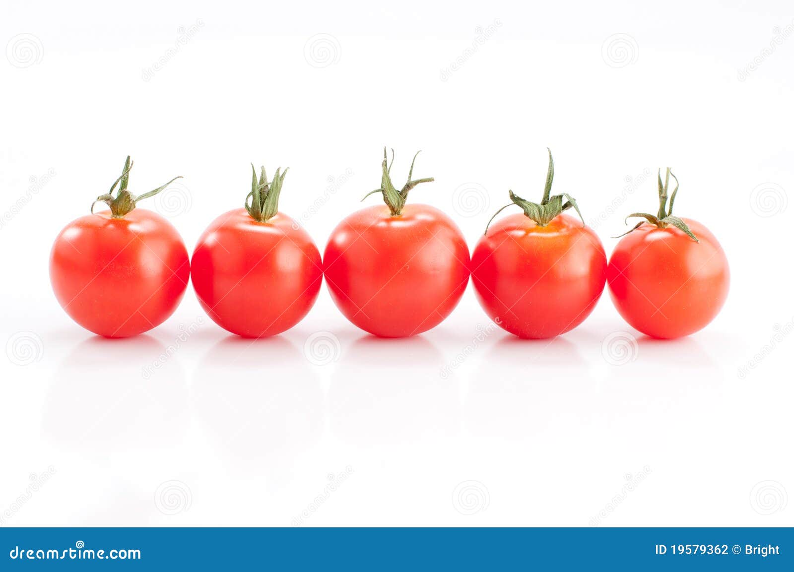 Row Of Tomatoes Stock Photography - Image: 19579362