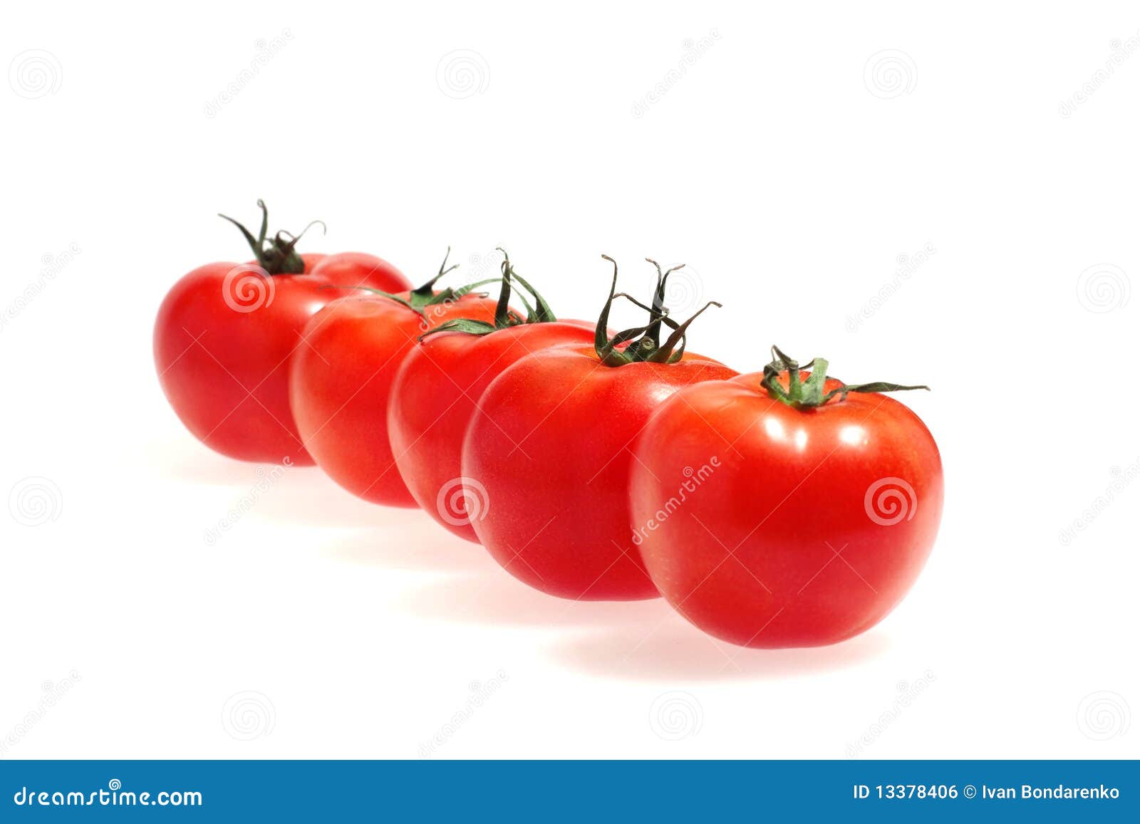 Row of Tomatoes Isolated on the White Stock Photo - Image of vegetable ...