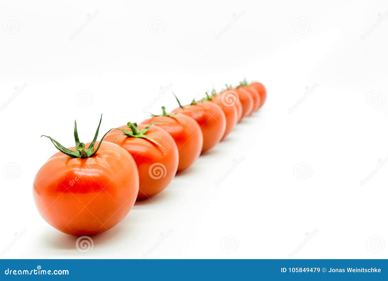 Row of Tomatoes stock image. Image of nature, diet, leaf - 105849479