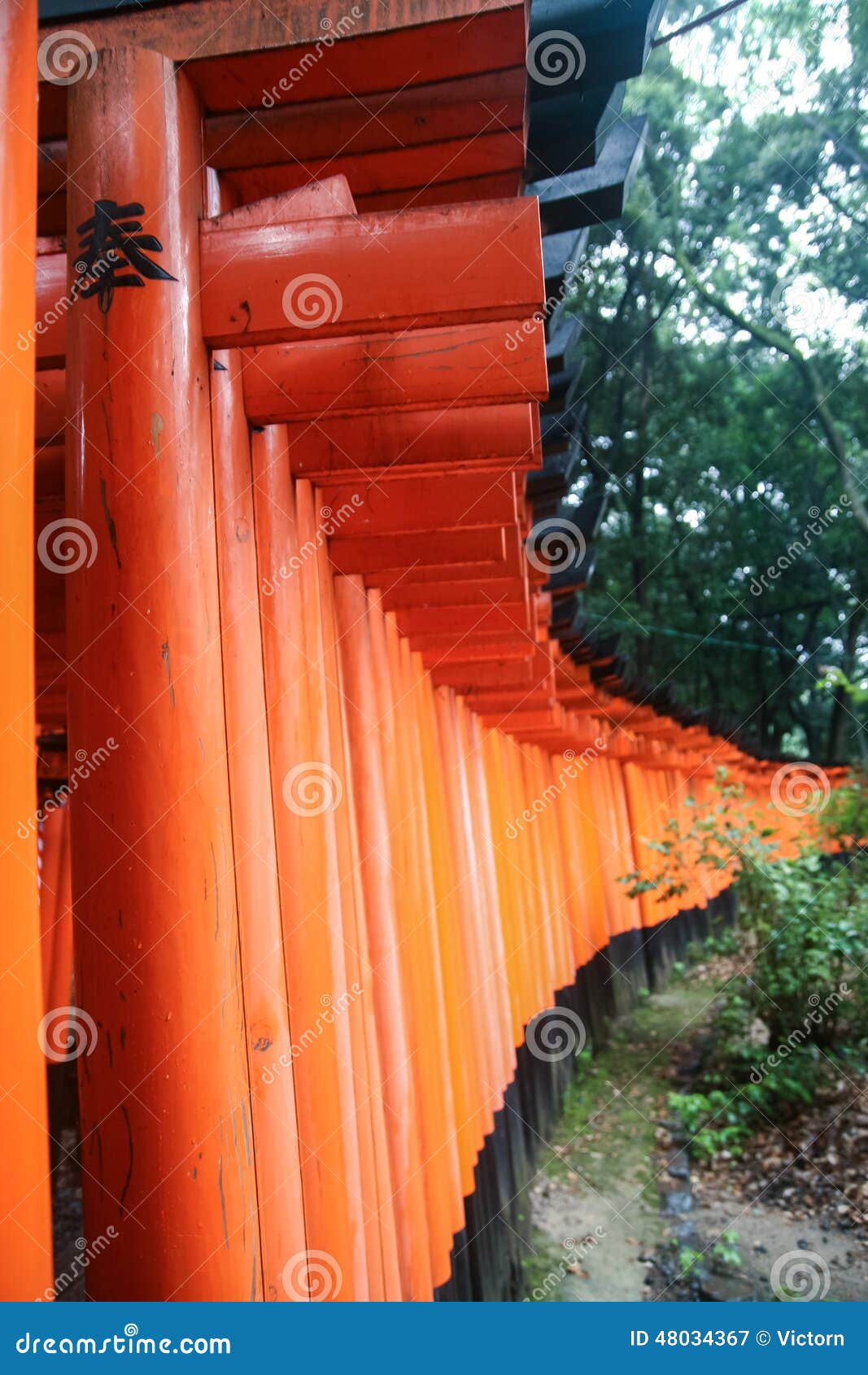 A row of toriis stock image. Image of torii, kyoto, heritage - 48034367