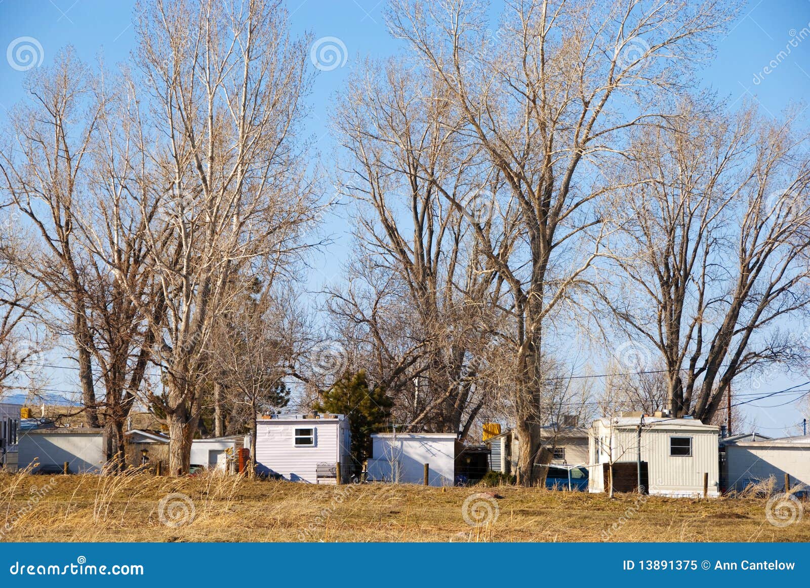 Row of Trailer Homes Under Tall Trees Stock Image - Image of peaceful ...