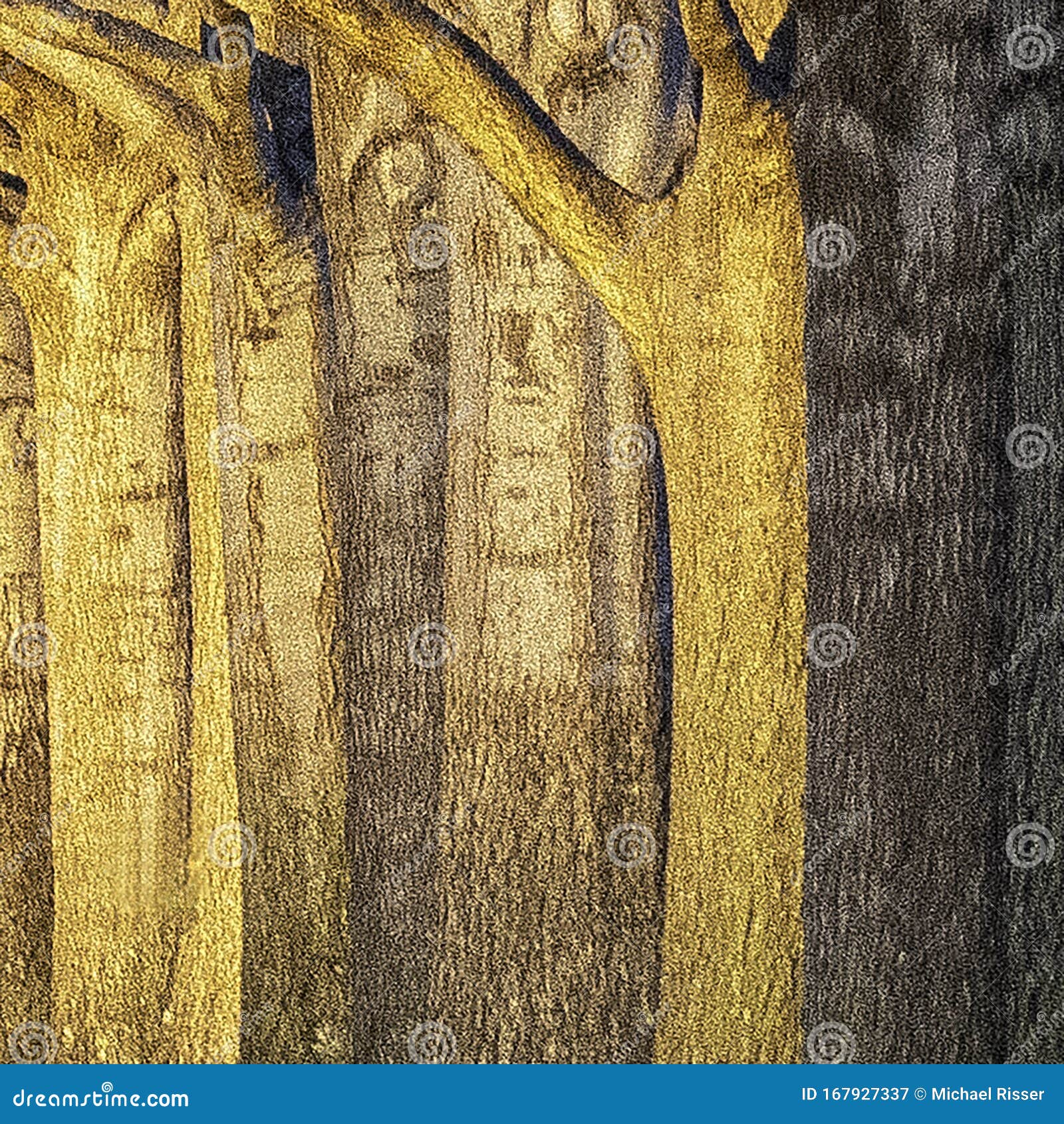 Row of Trees in Morning Light and Shade Pattern and Texture Stock Image ...