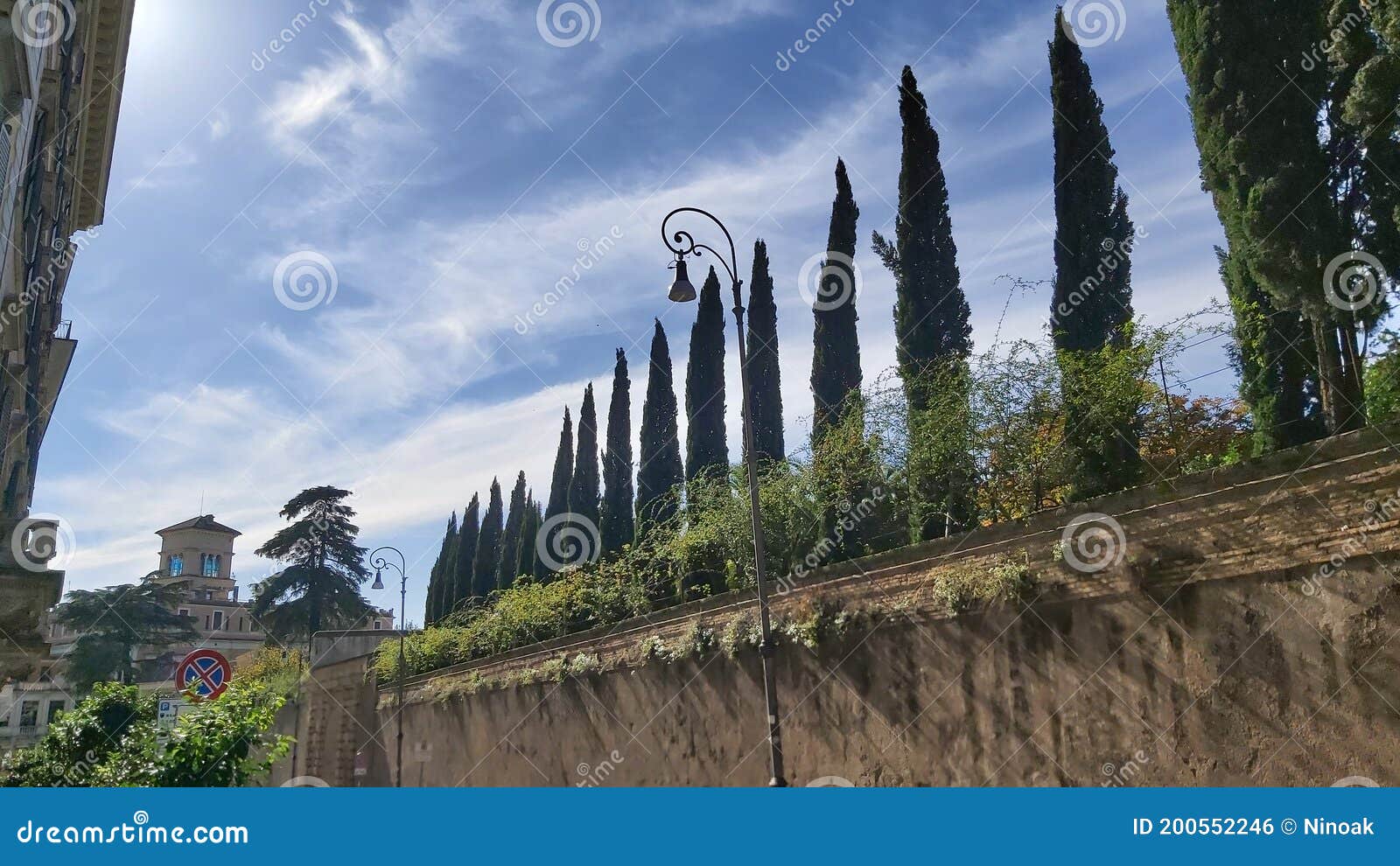 Row of Trees in the Centre of Rome Near Via Veneto Editorial Photo ...