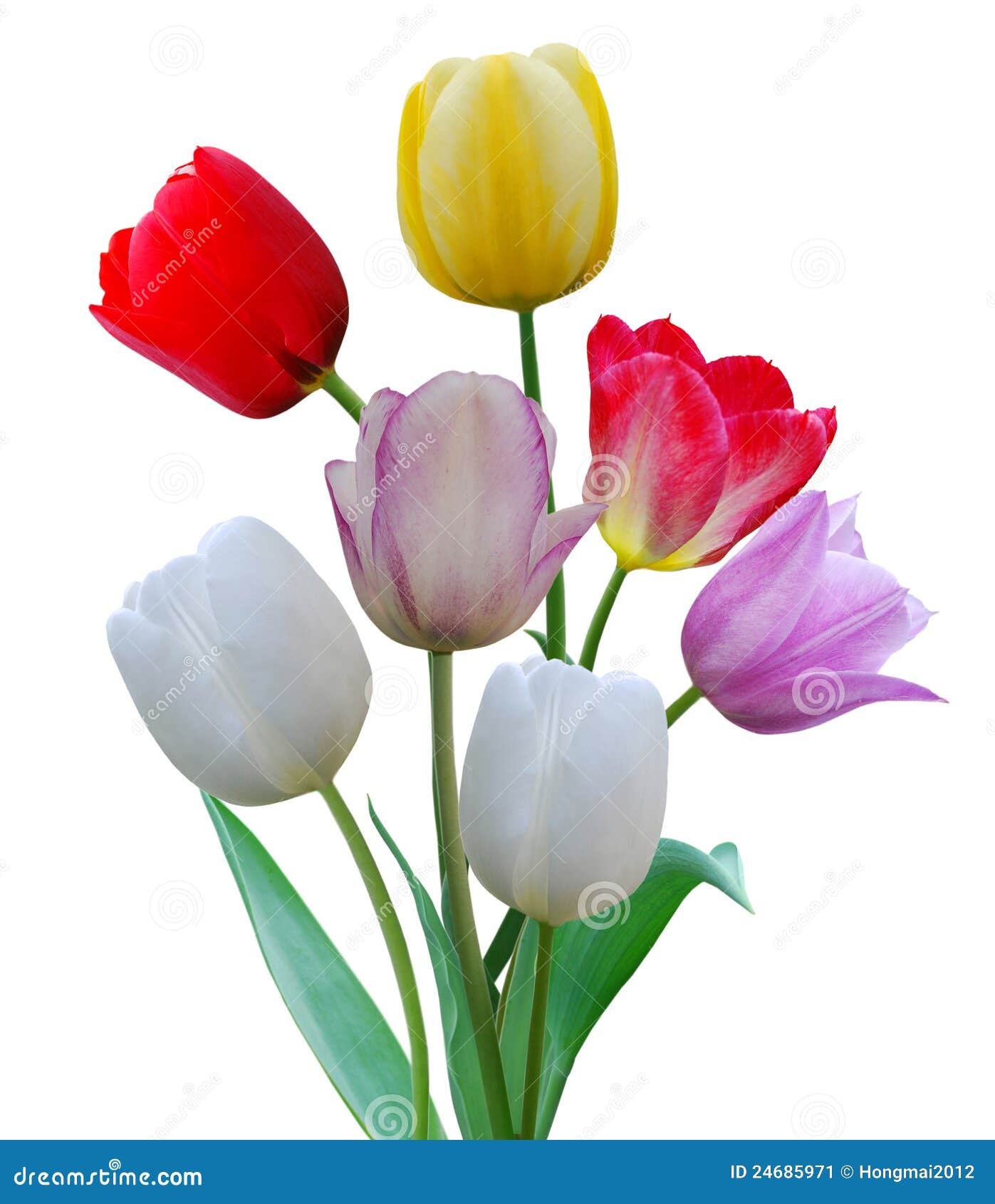 Row tulip flowers stock image. Image of spring, design - 24685971