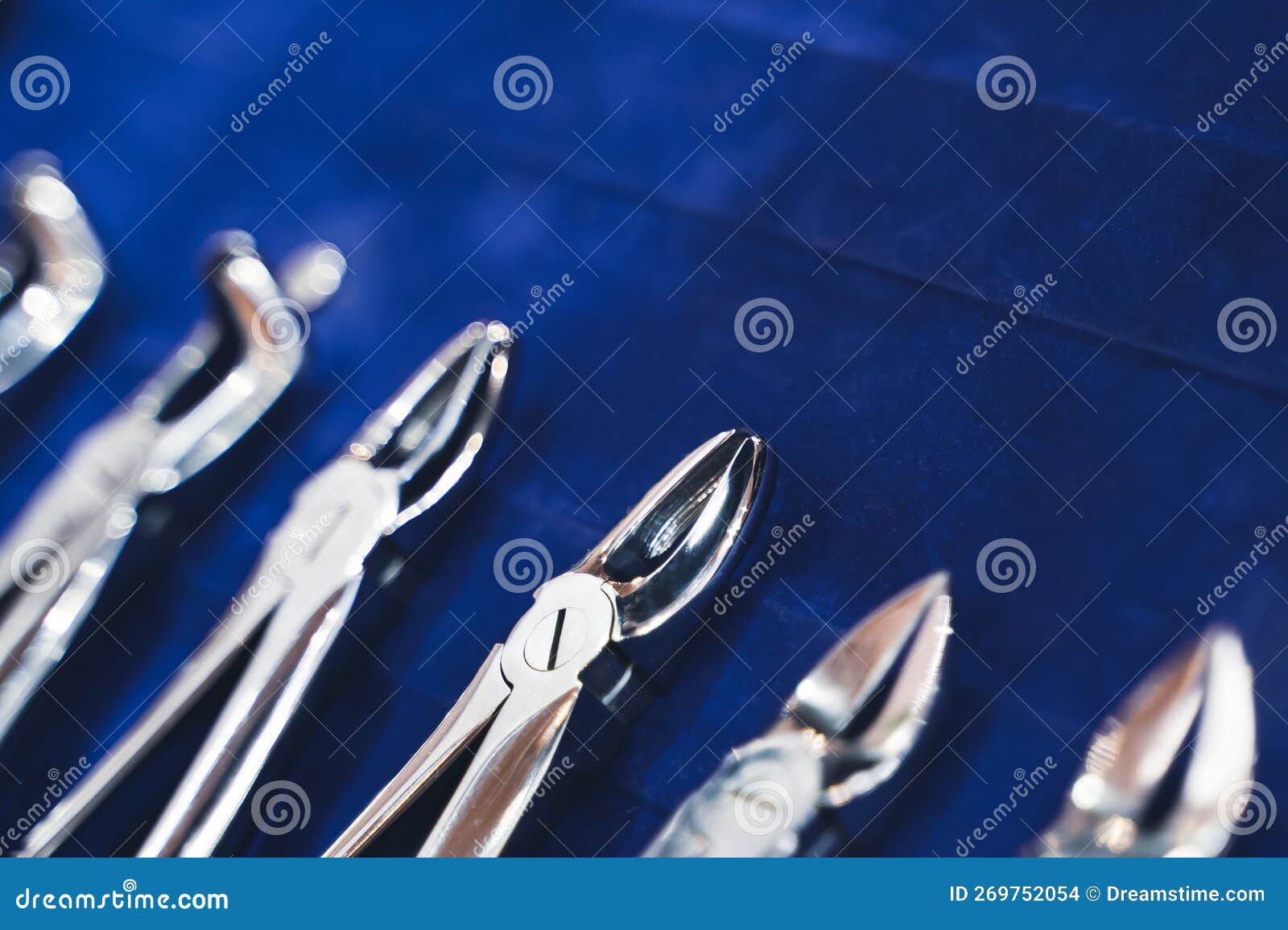 Row of Various Dental Extraction Forceps Tools on Display on Blue ...