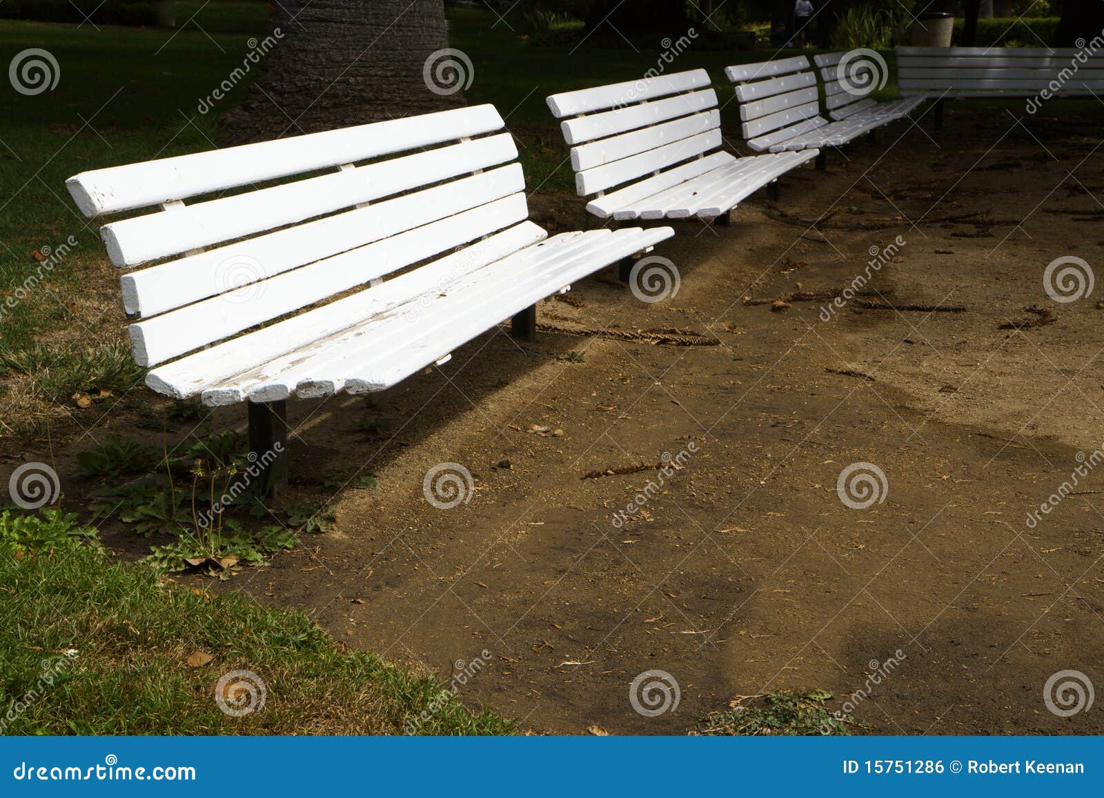 Row of White Benches stock photo. Image of relaxation - 15751286