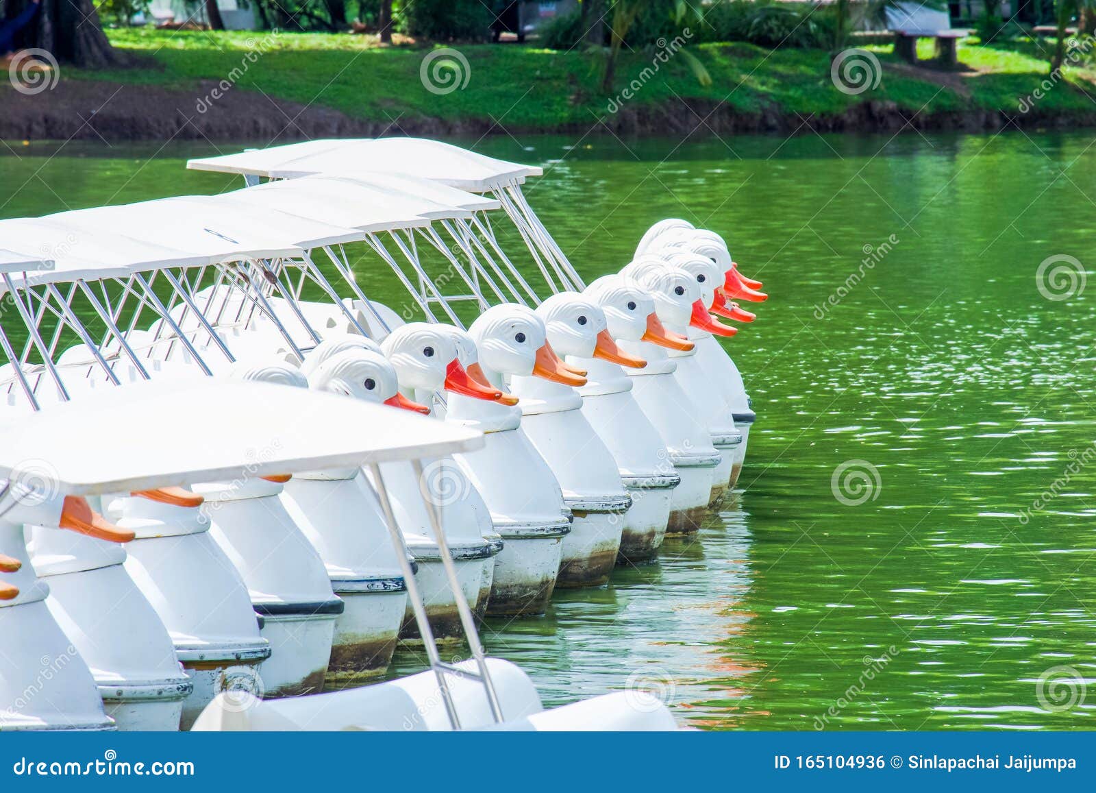 Row of White Duck Paddle Boat in the Reservoir Stock Photo - Image of ...