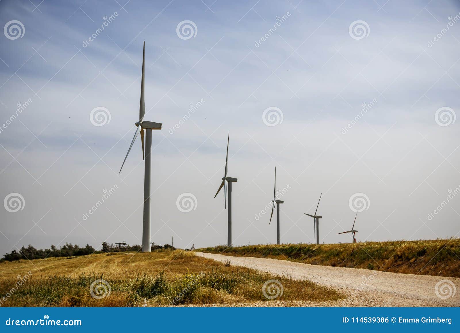 A row of wind generators stock photo. Image of technology - 114539386