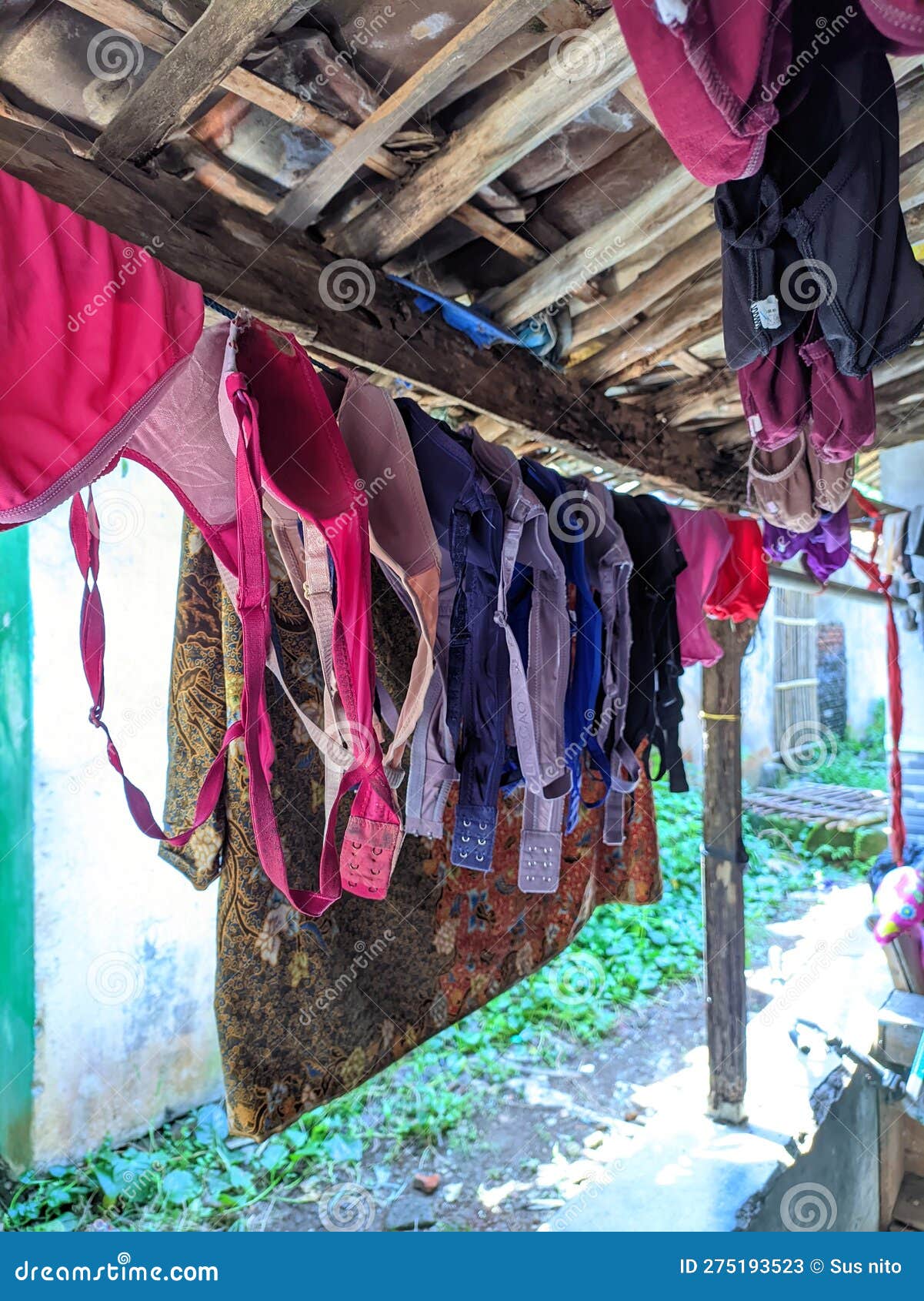 Row of Women S Bras Being Dried in the Sun Stock Image - Image of ...