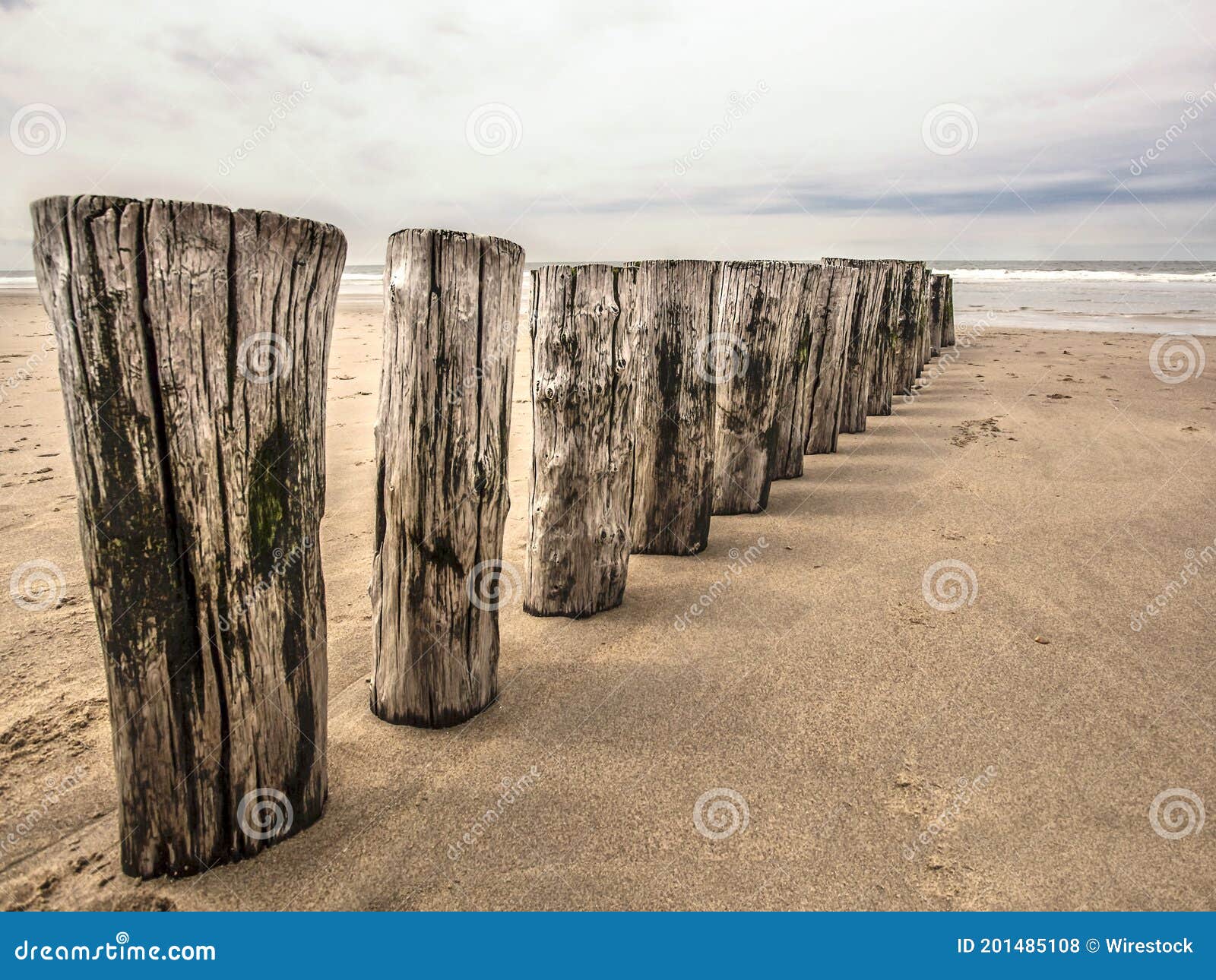 Row of Wooden Docks at the Beach Stock Photo - Image of ocean, wooden ...